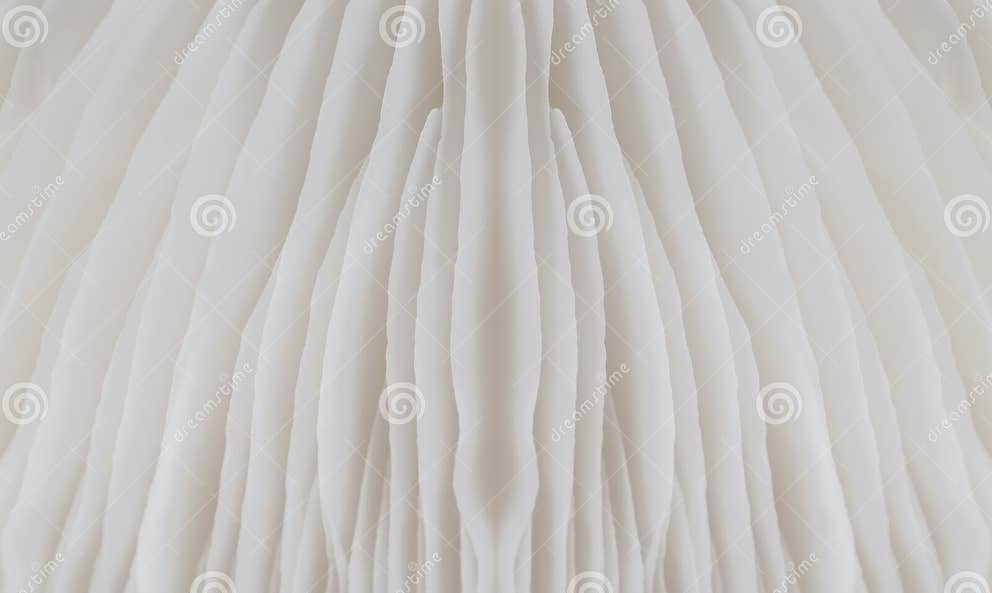 Sajor-caju Mushroom stock image. Image of edible, mycology - 82970467