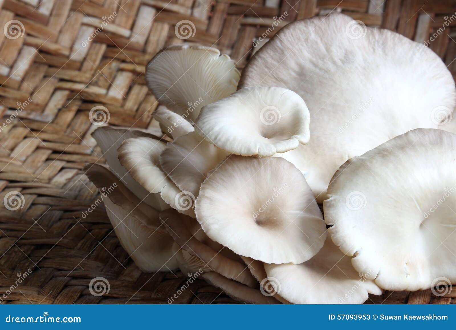 Sajor-caju Mushrooms stock image. Image of food, bamboo - 57093953