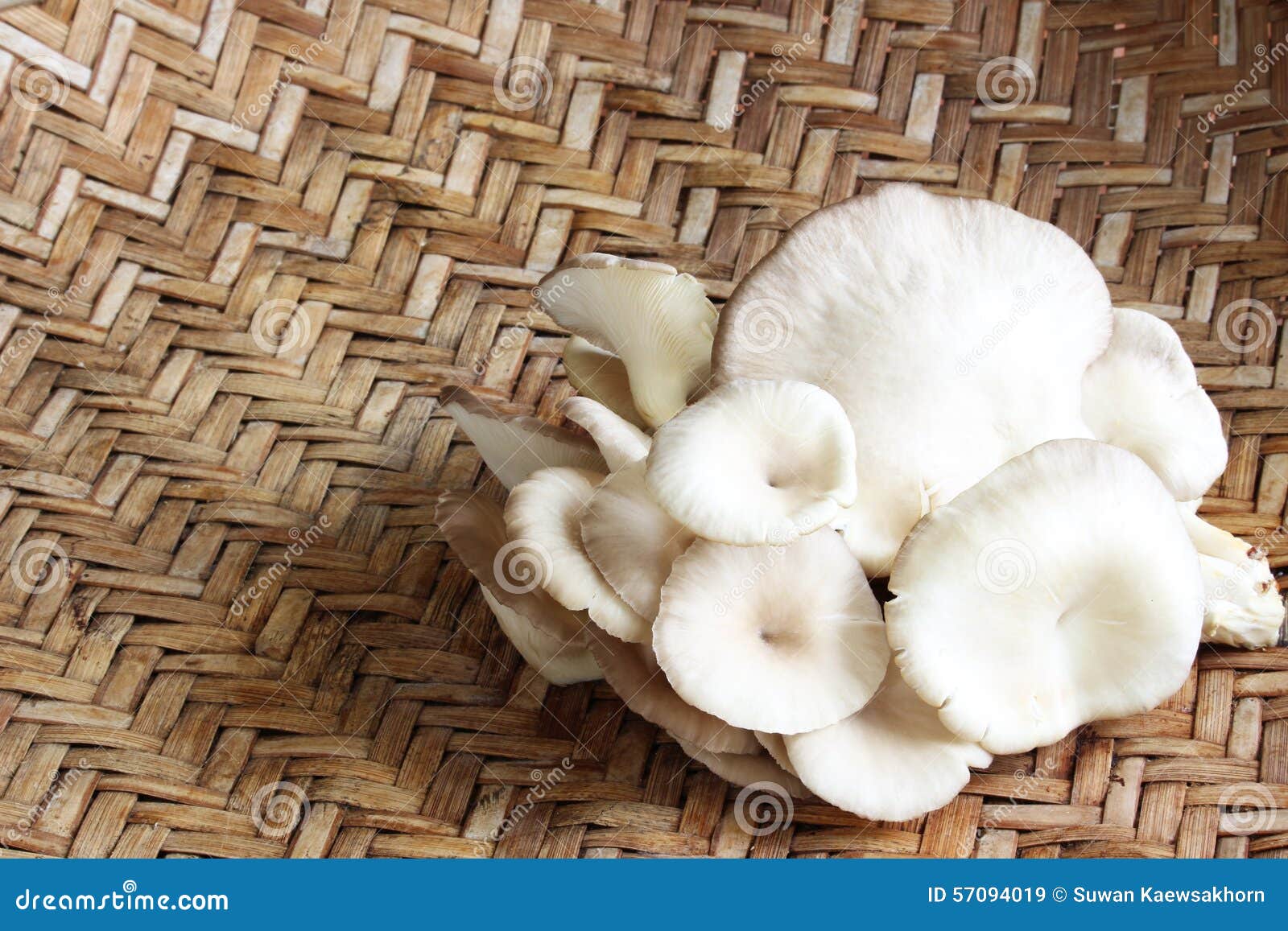 Sajor-caju Mushrooms stock image. Image of food, basket - 57094019