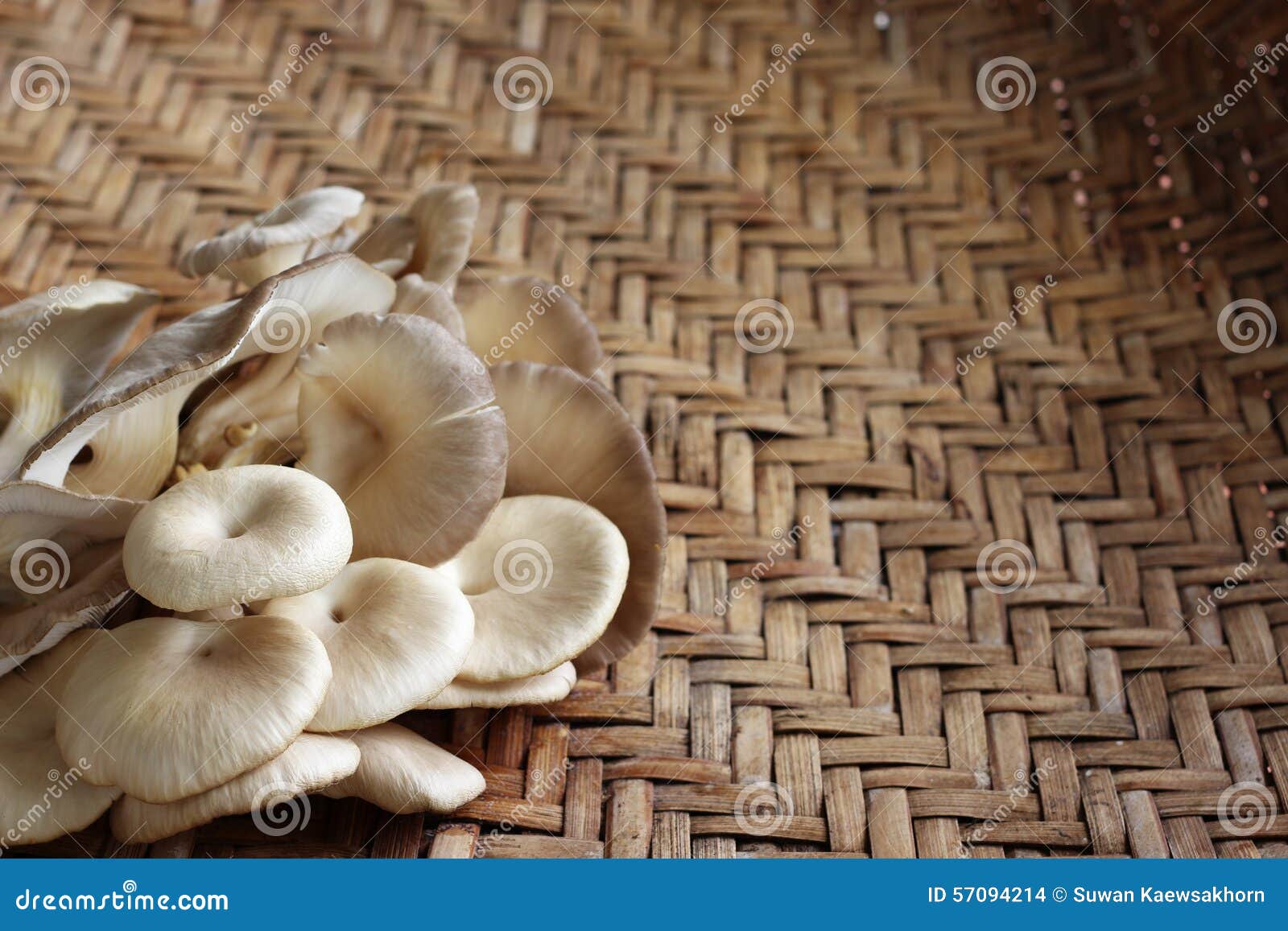 Sajor-caju Mushrooms stock photo. Image of diet, group - 57094214