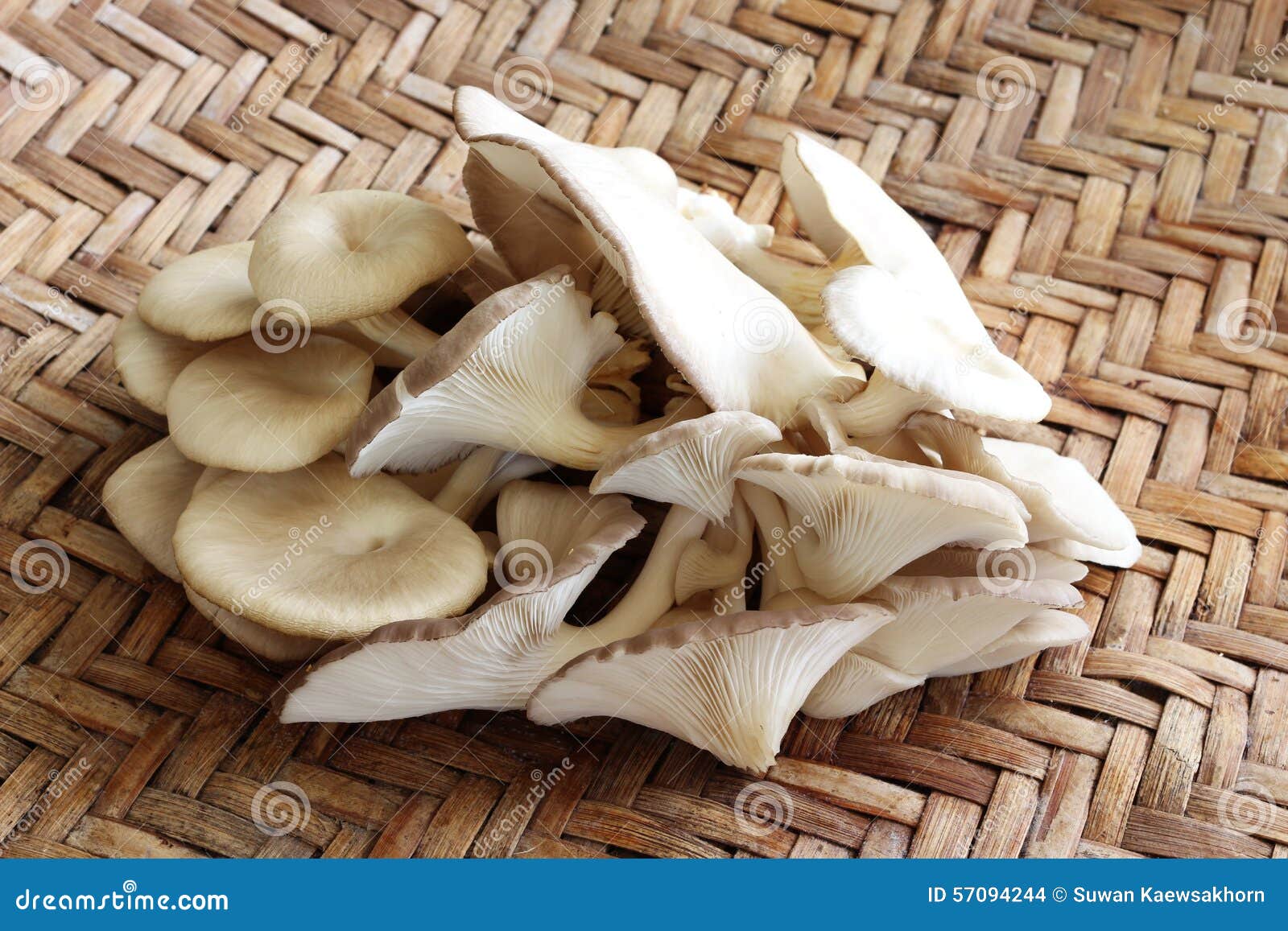 Sajor-caju Mushrooms stock photo. Image of delicious - 57094244