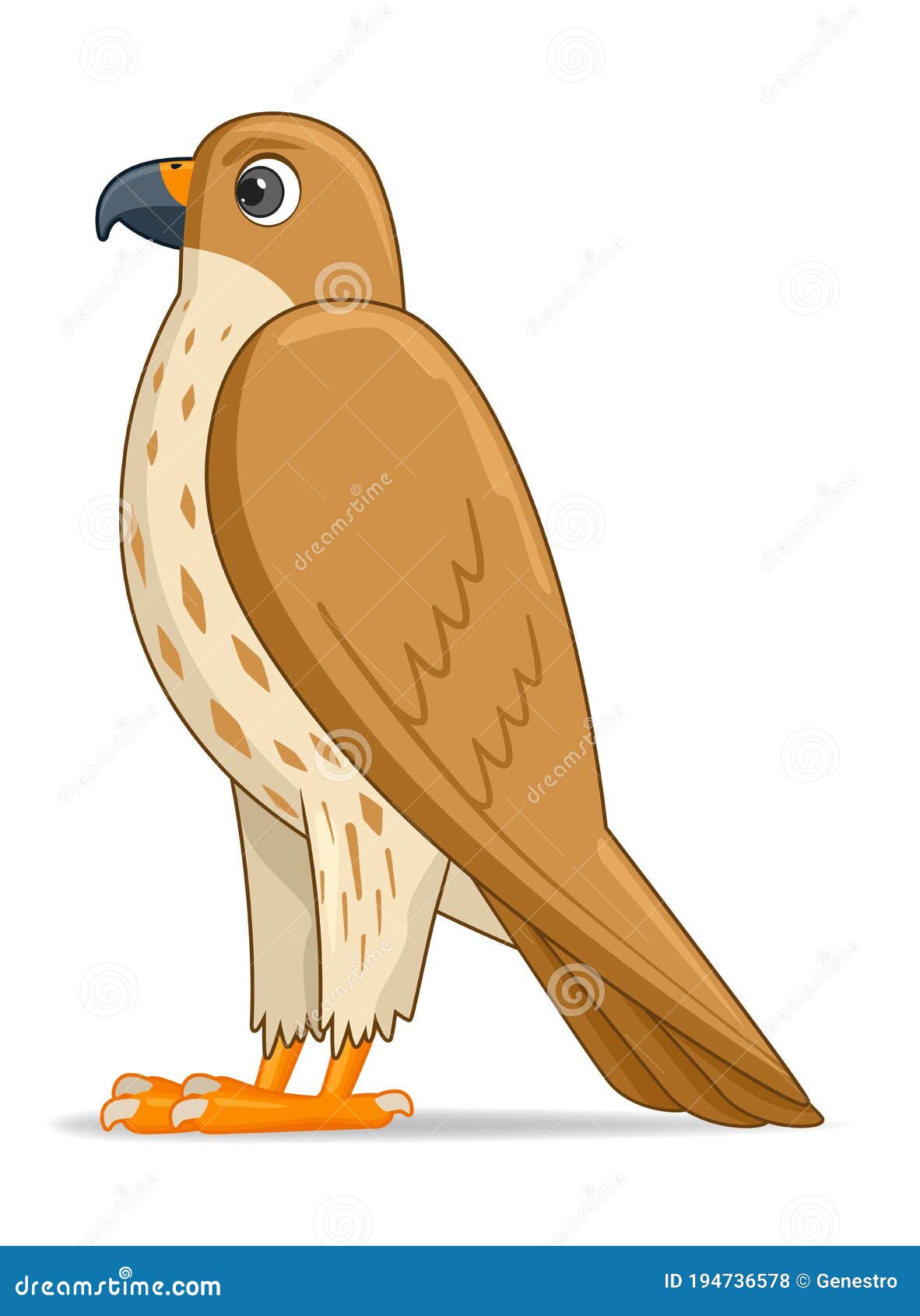 Saker Falcon Bird on a White Background Stock Vector - Illustration of ...