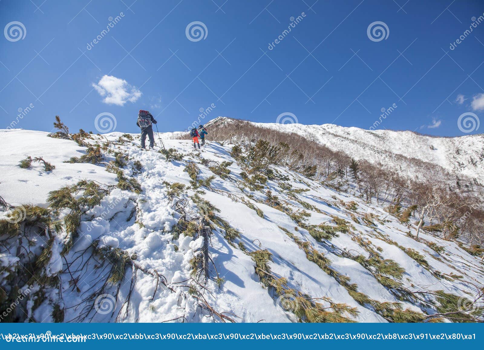 Sakhalin Mountains and Winter Stock Image - Image of hold, silent: 90777425