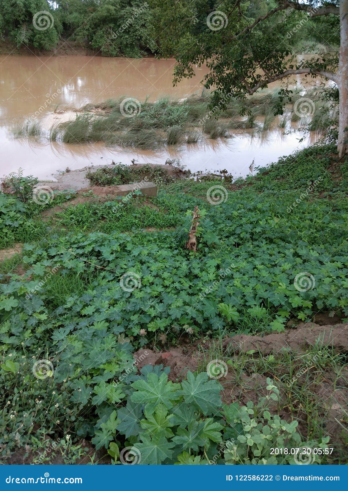 Sakri River Stock Photos - Free & Royalty-Free Stock Photos from Dreamstime