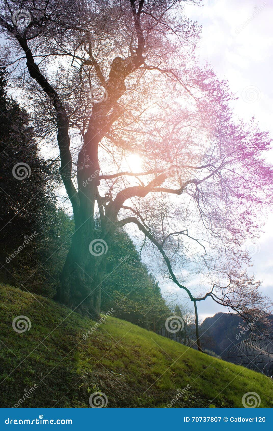 Mima City Stock Photos - Free & Royalty-Free Stock Photos from Dreamstime