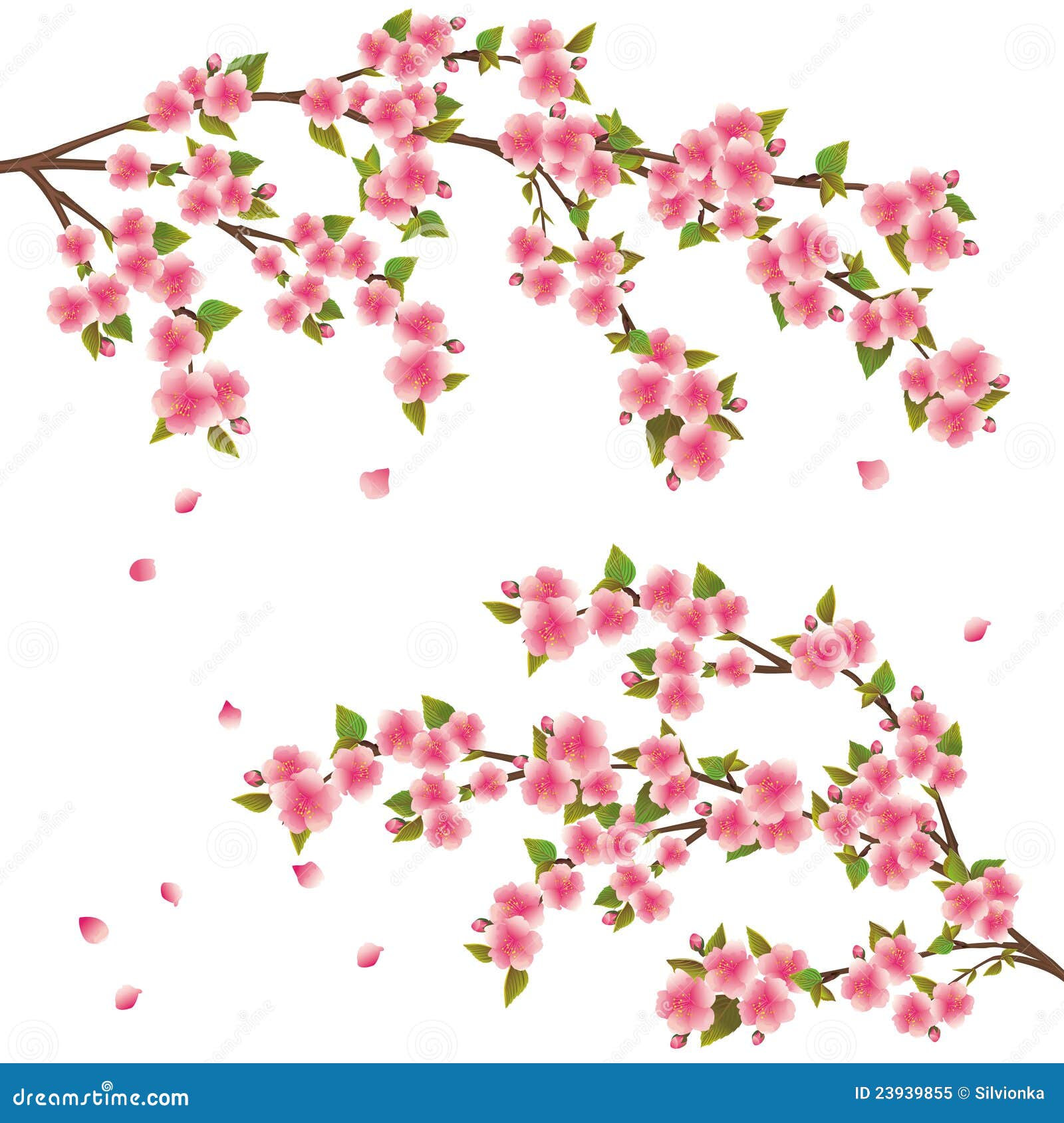 Sakura Blossom, Japanese Cherry Tree With Falling Petals Cartoon Vector ...