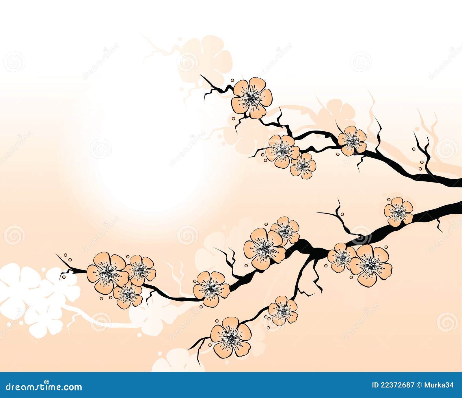 Sakura Branch stock vector. Illustration of blossom, spring - 22372687