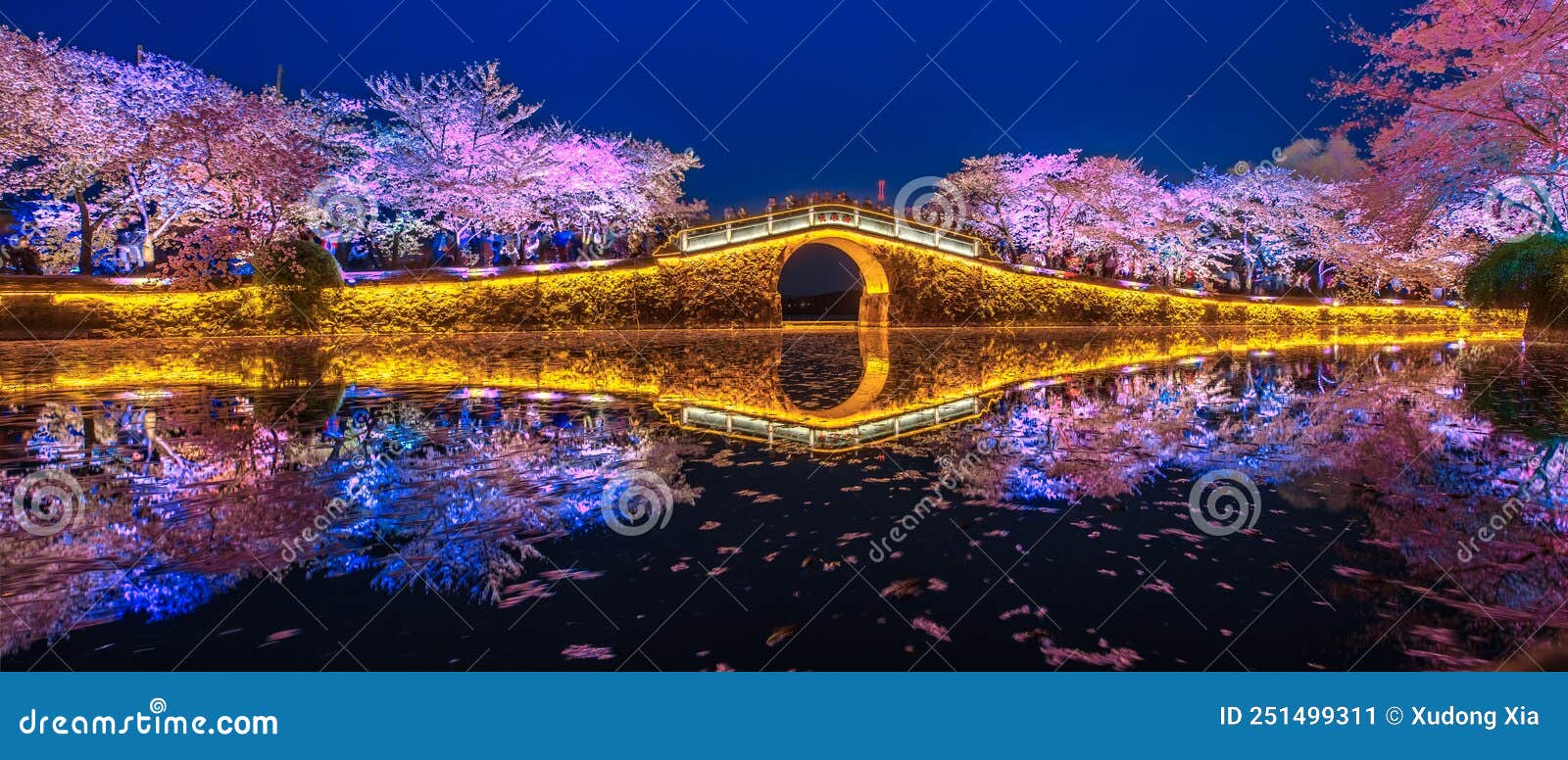 Sakura and bridge stock image. Image of china, changchun - 251499311