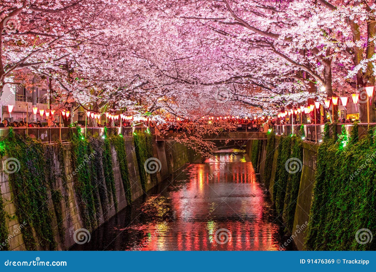 Sakura Canal stock image. Image of landmark, concrete - 91476369
