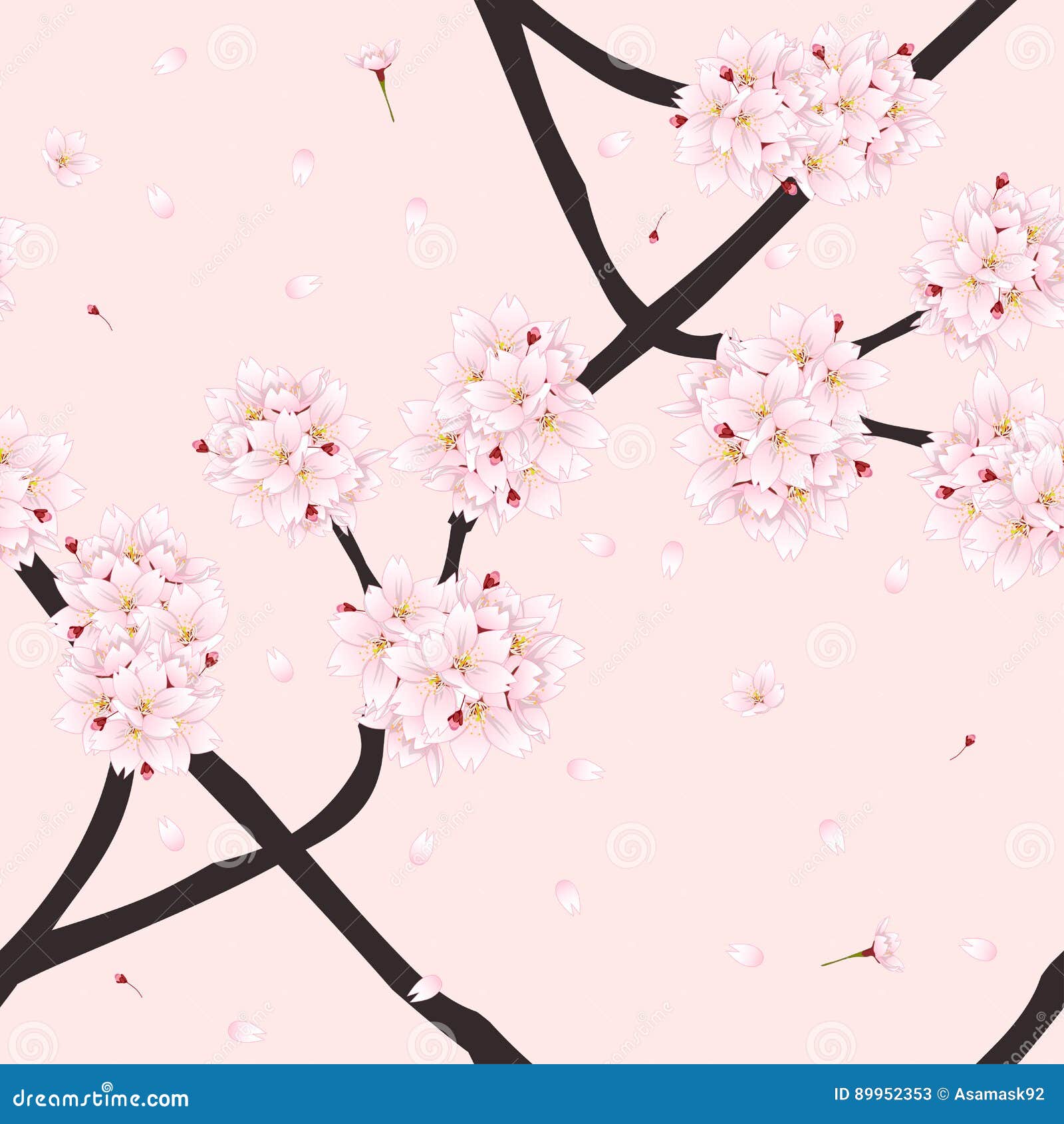 Sakura Cherry Blossom Flower on Light Pink Background. Stock Vector ...