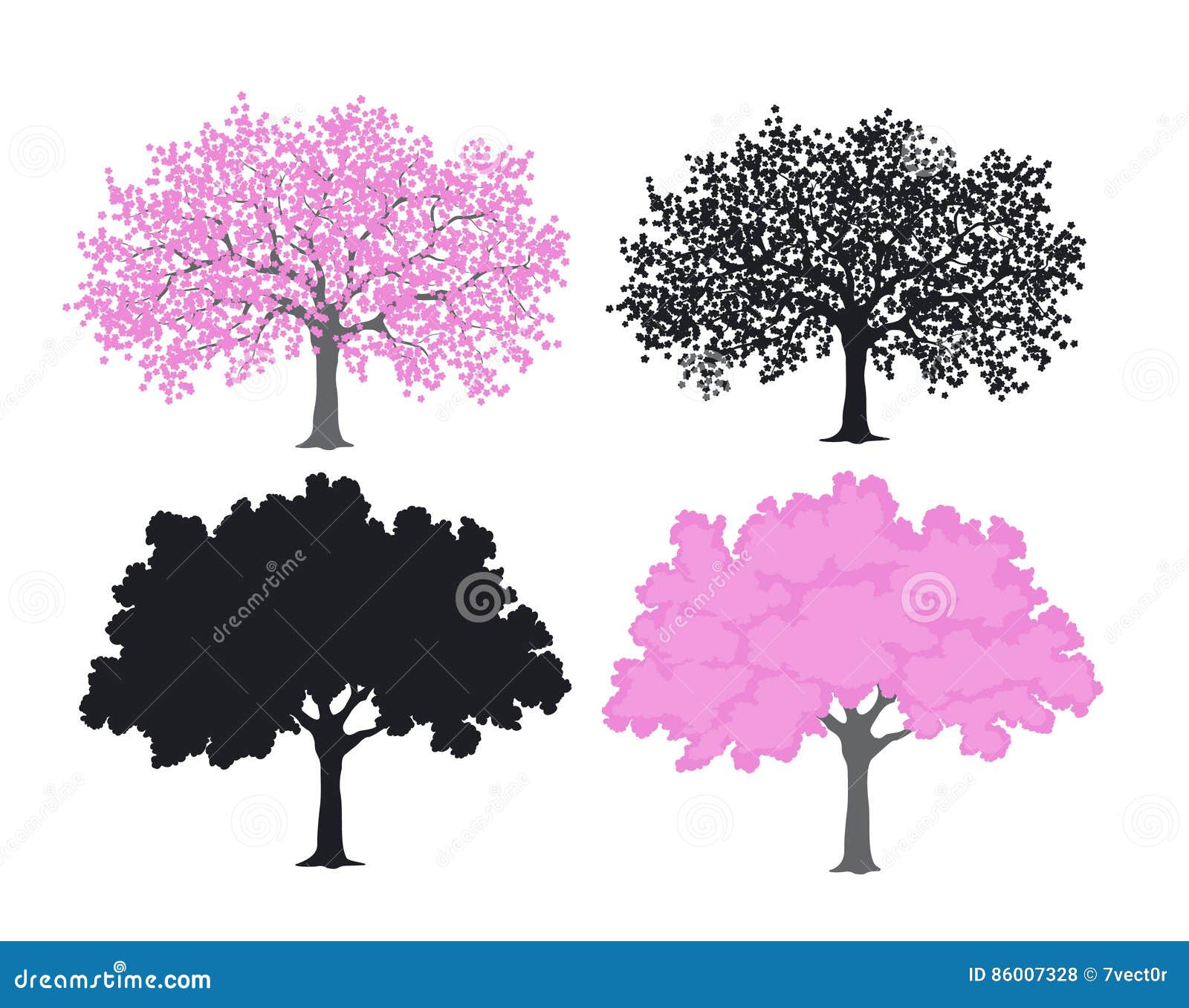 Sakura, Cherry Blossom Tree In Color And Silhouettes Vector ...