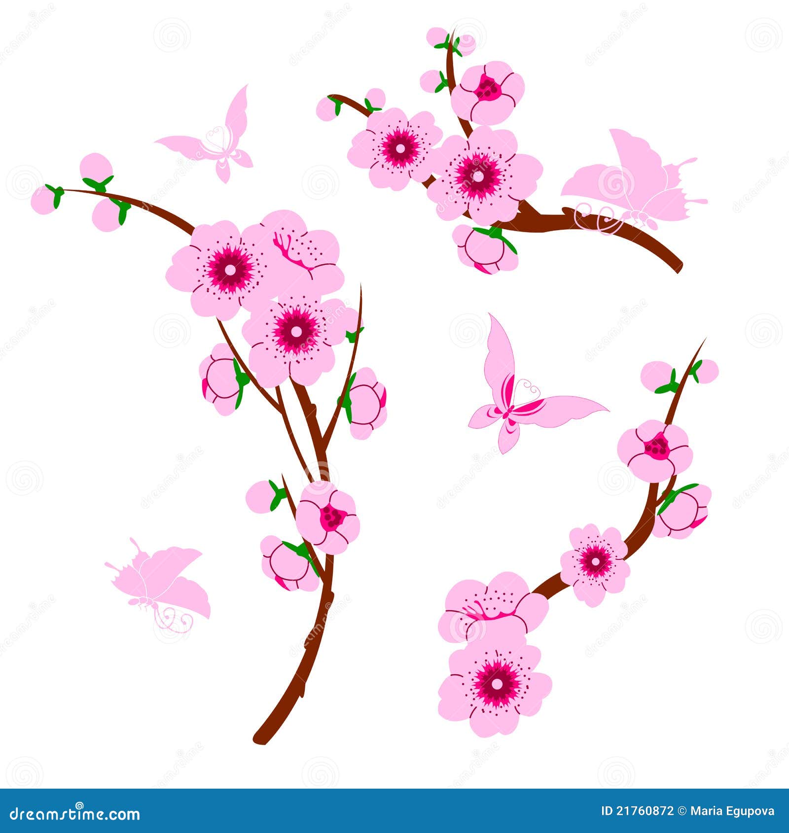 Sakura elements stock vector. Illustration of cherry - 21760872