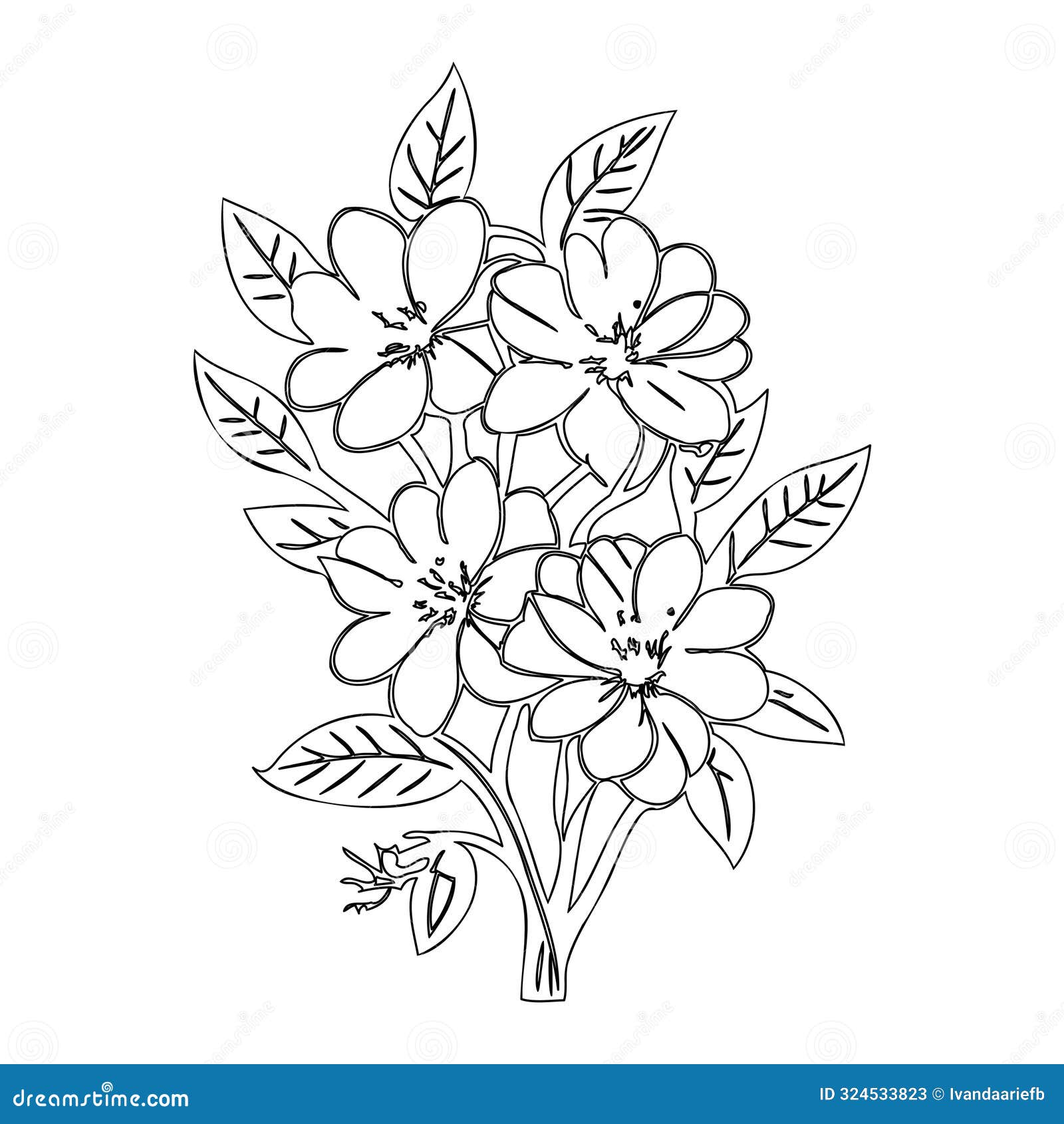 Sakura Flower Outline Illustration Sketch Stock Vector - Illustration ...