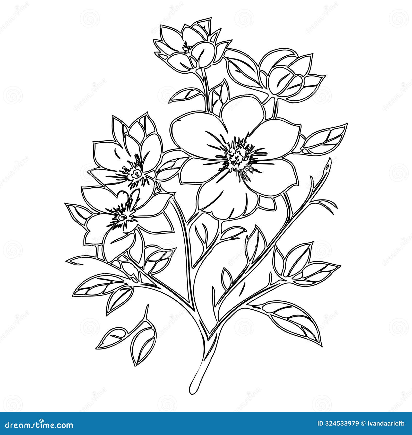 Sakura Flower Outline Illustration Sketch Stock Vector - Illustration ...