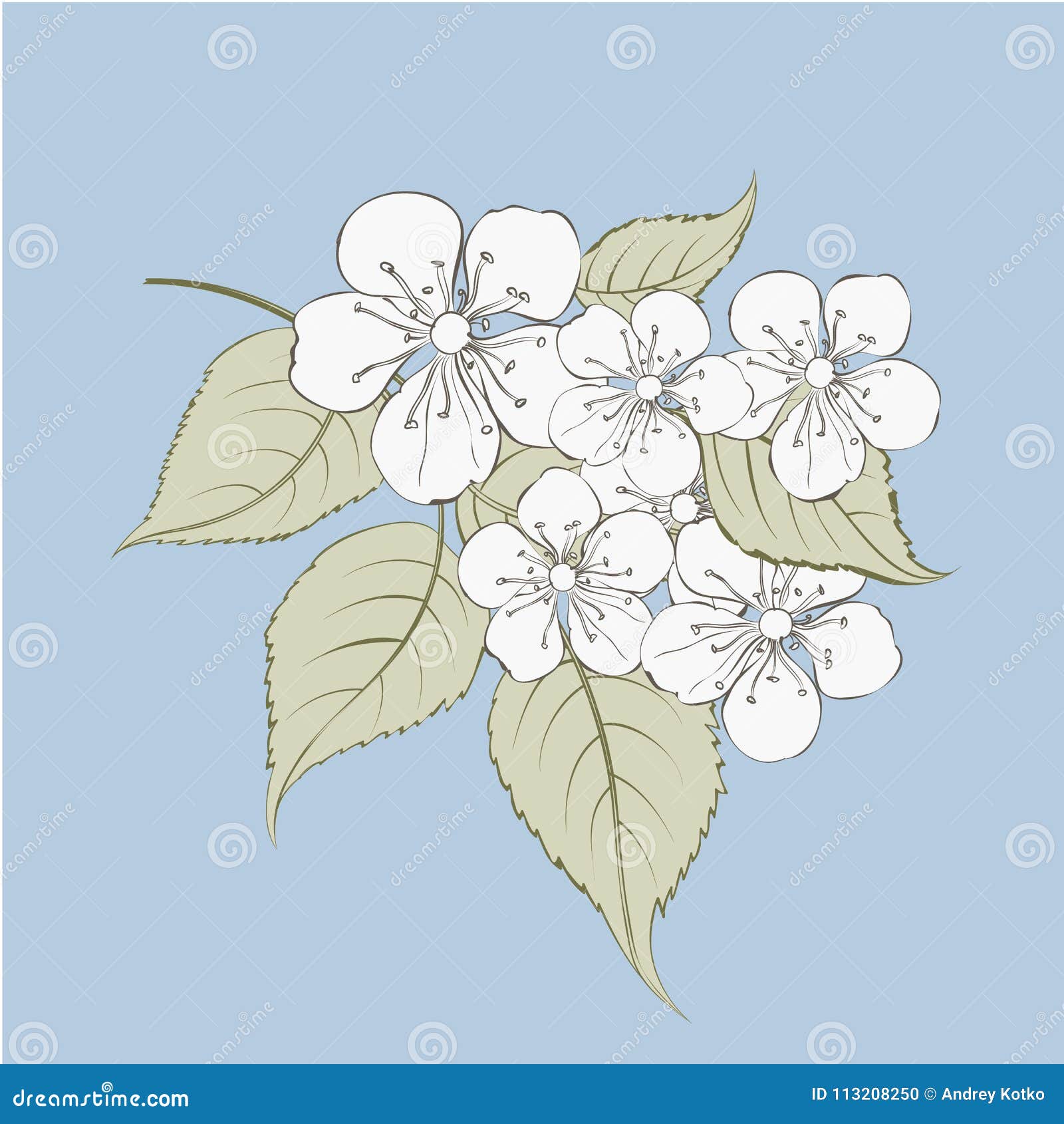 Sakura flowers elements. stock vector. Illustration of decor - 113208250