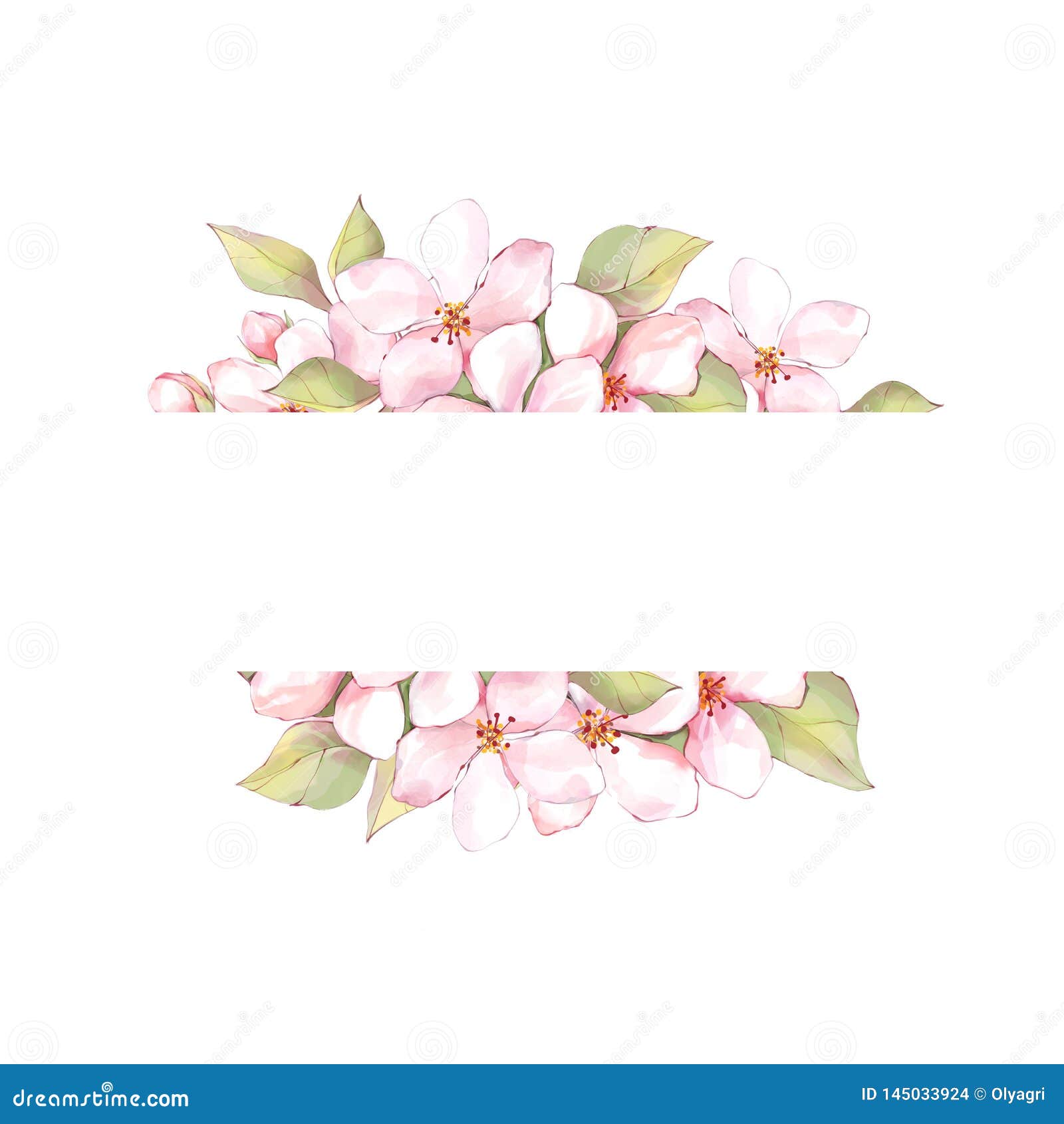 Sakura flowers frame stock illustration. Illustration of flower - 145033924