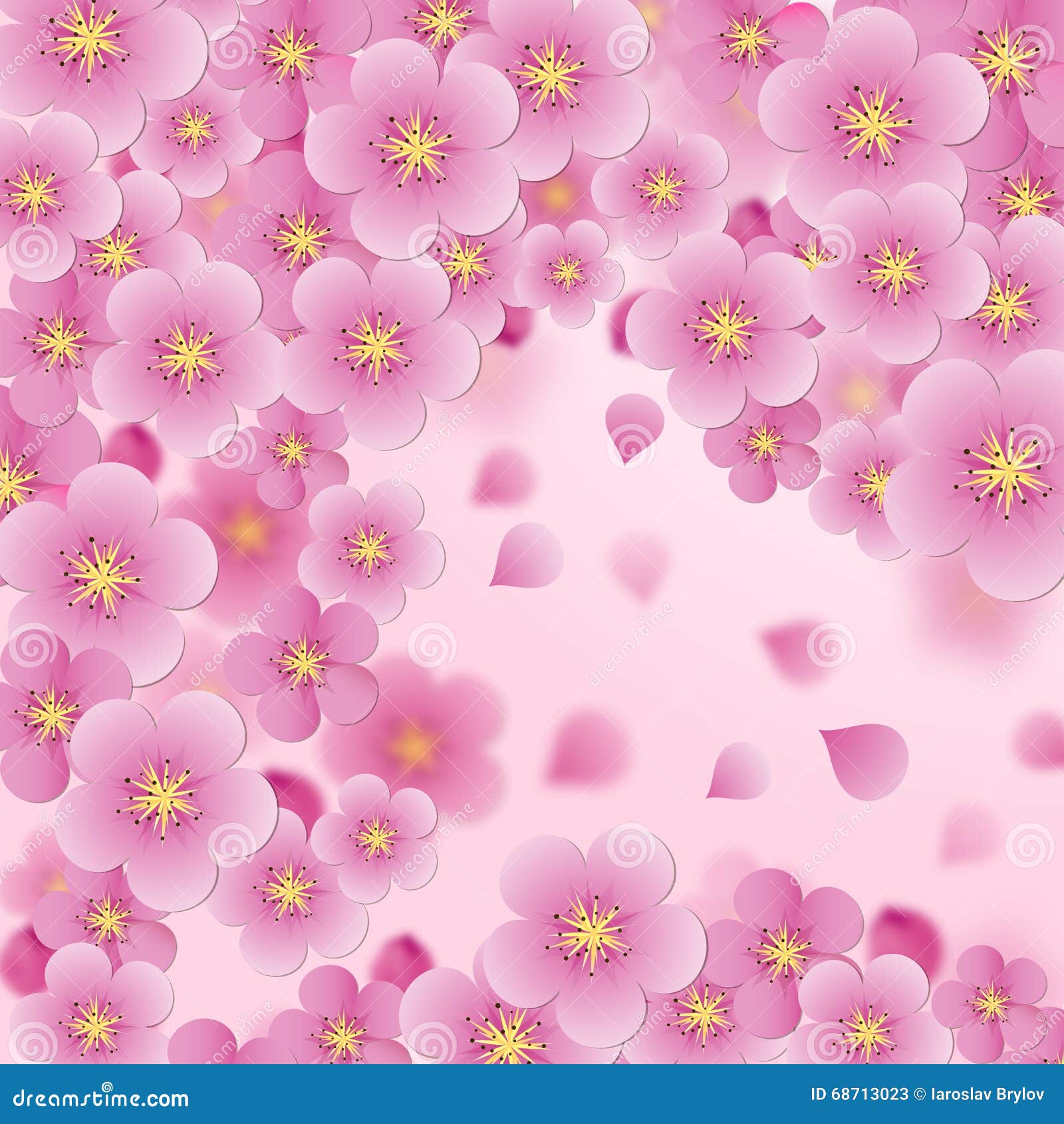 Sakura Flowers Vector Background Stock Vector - Illustration of curl ...