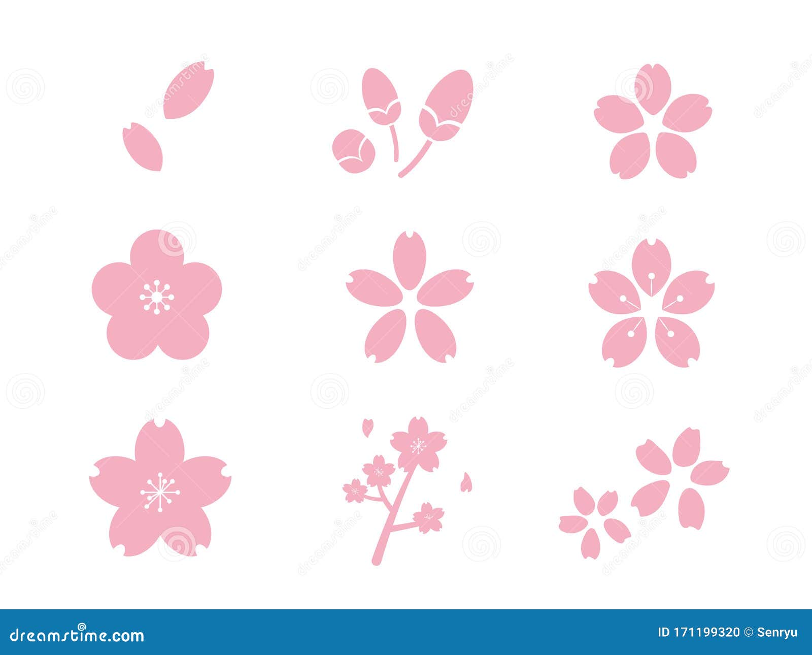 Sakura icon set stock vector. Illustration of blossom - 171199320