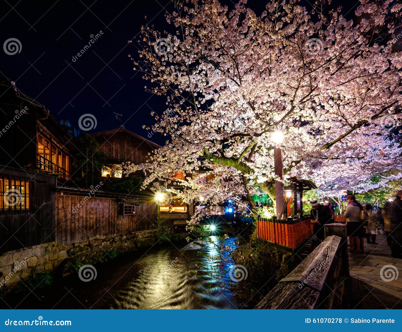 Sakura a Kyoto fotografia stock editoriale. Immagine di turismo - 61070278