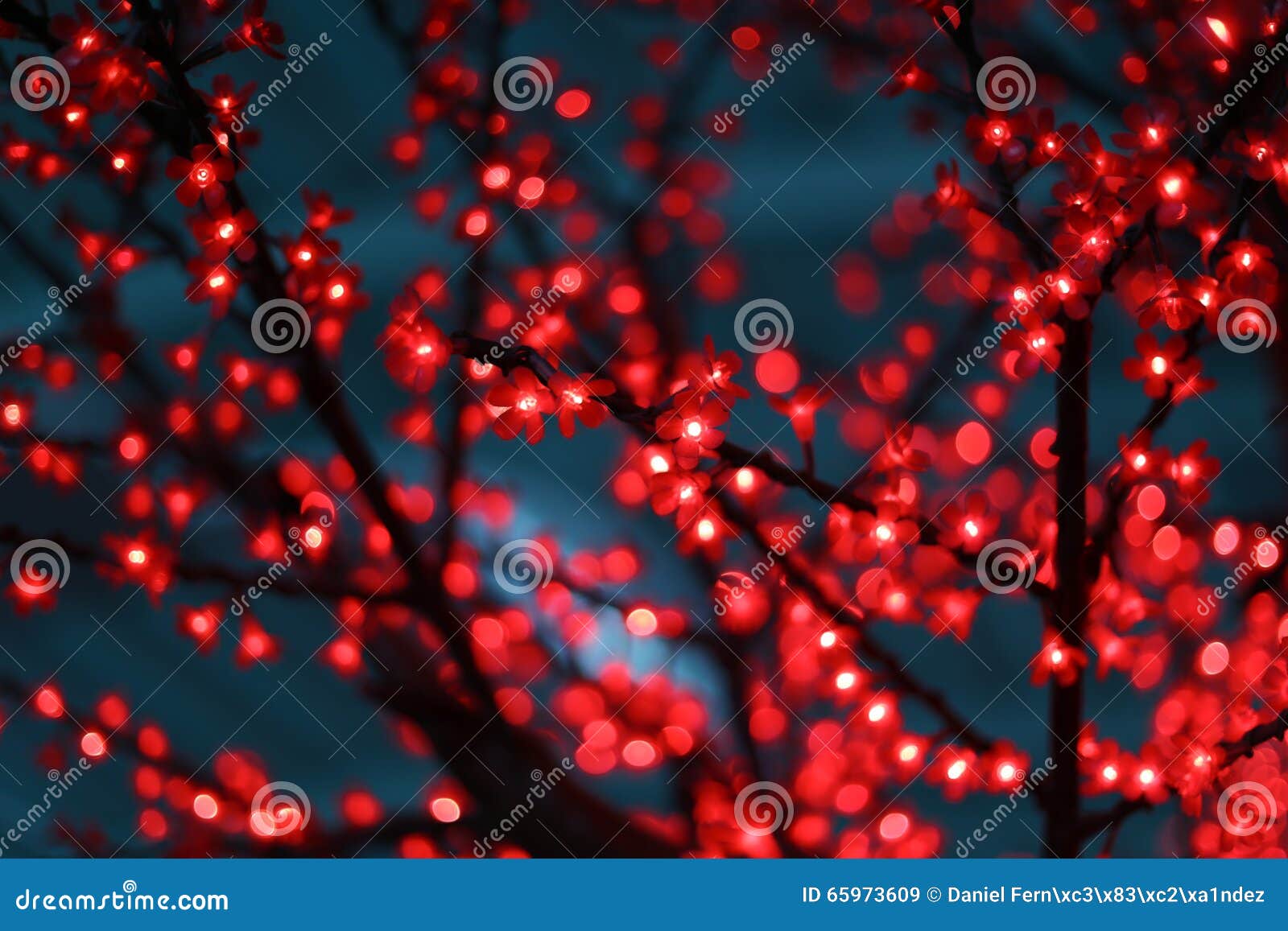 Sakura LED stock image. Image of luces, deco, artificial - 65973609