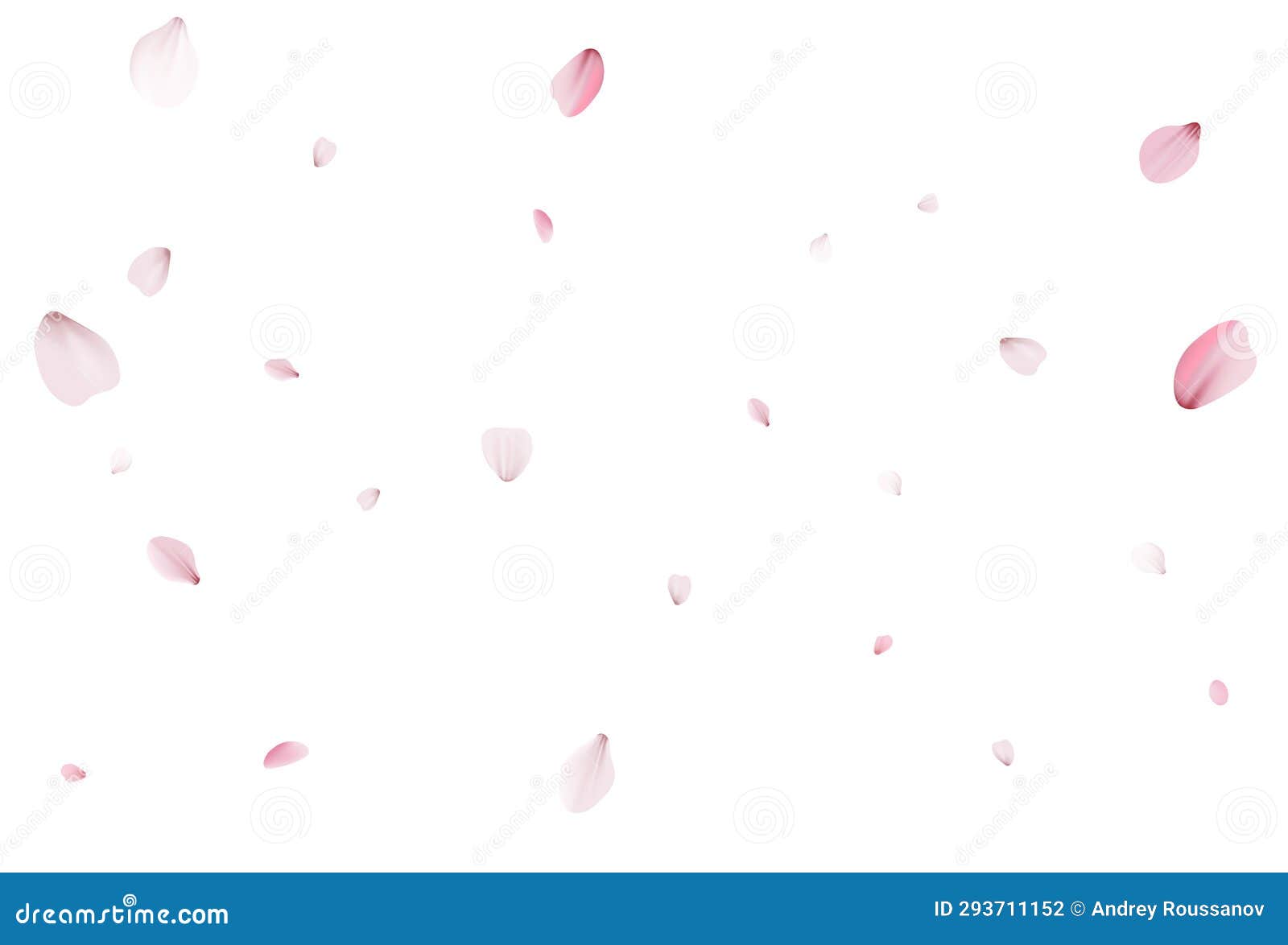 Sakura Petals. Realistic Vector Illustration. Stock Vector ...