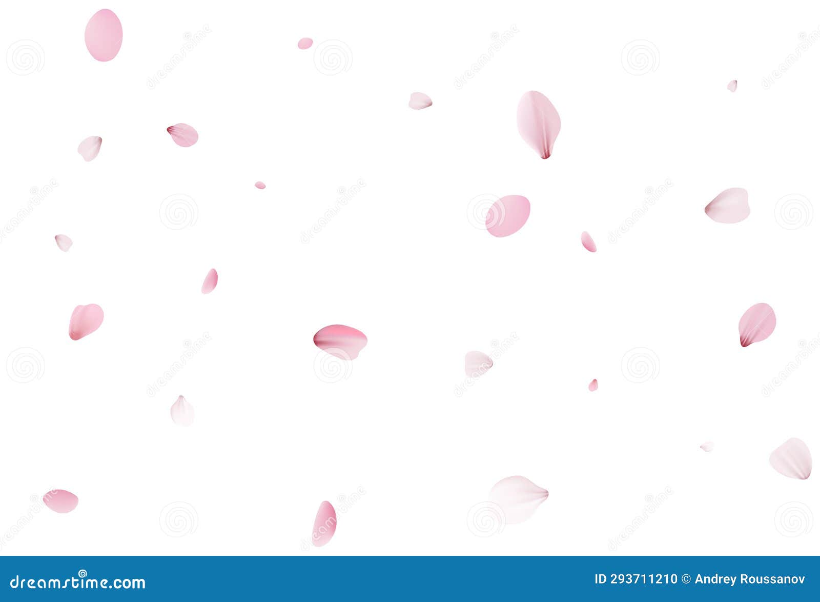 Sakura Petals. Realistic Vector Illustration. Stock Vector ...