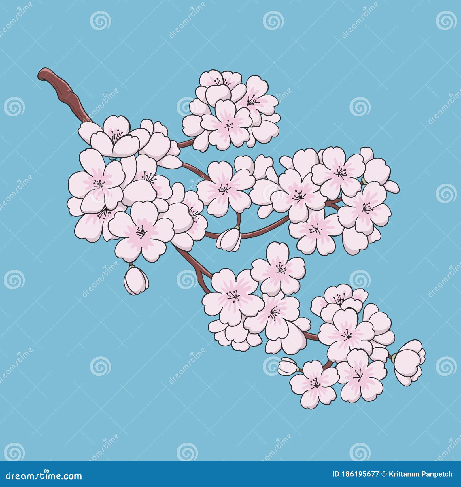 Sakura Pink Flower. Vector Illustration. Stock Vector - Illustration of ...