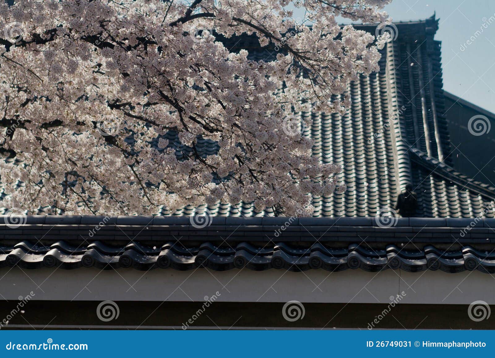 Sakura and roof stock image. Image of blooming, april - 26749031