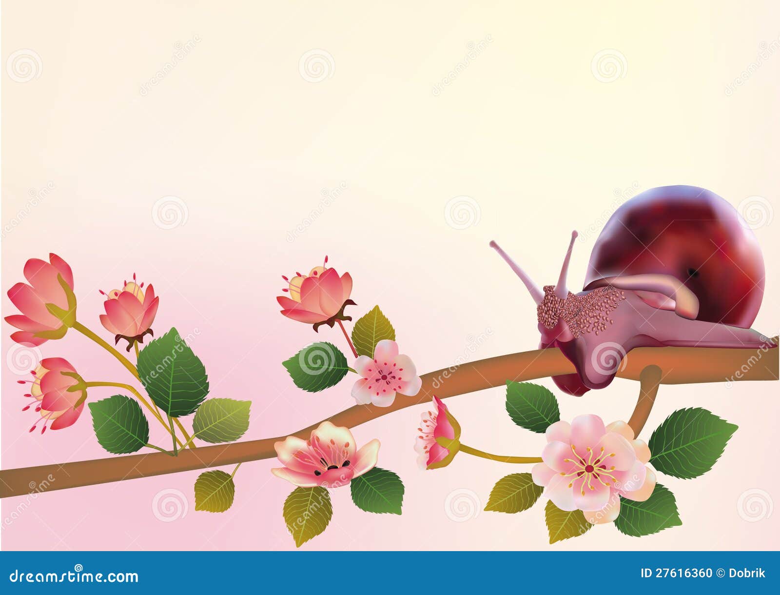 Sakura ,snaill, Spring , Postcard . Stock Vector - Illustration of ...