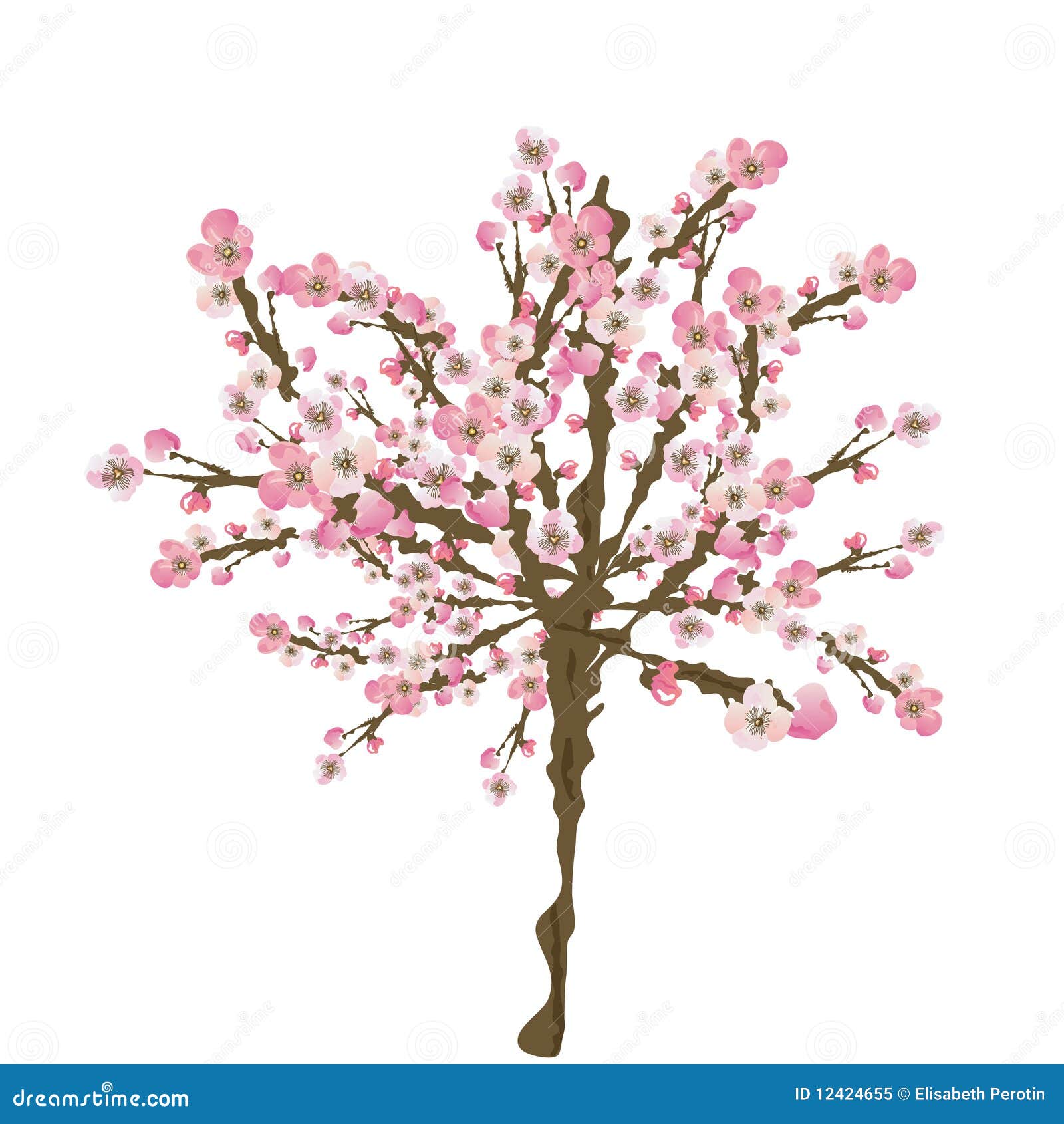 Sakura tree stock vector. Illustration of blossom, abstract - 12424655
