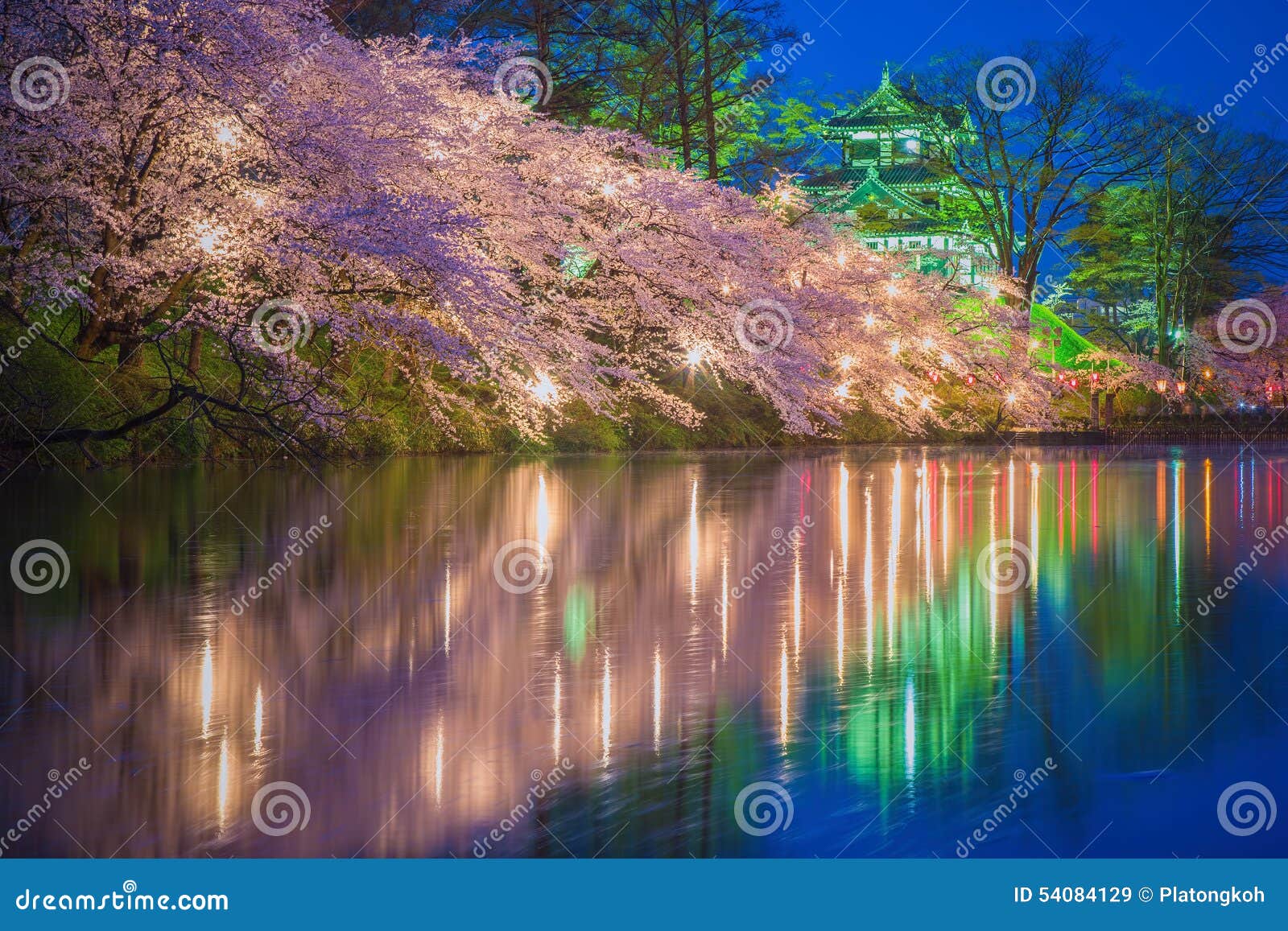 Sakura, Sakura Tree, Sakura Glow, Sakura On The Background Of The Sky ...