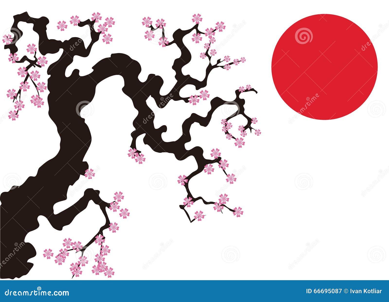 Sakura Tree Vector Illustration. Stock Vector - Illustration of beauty ...