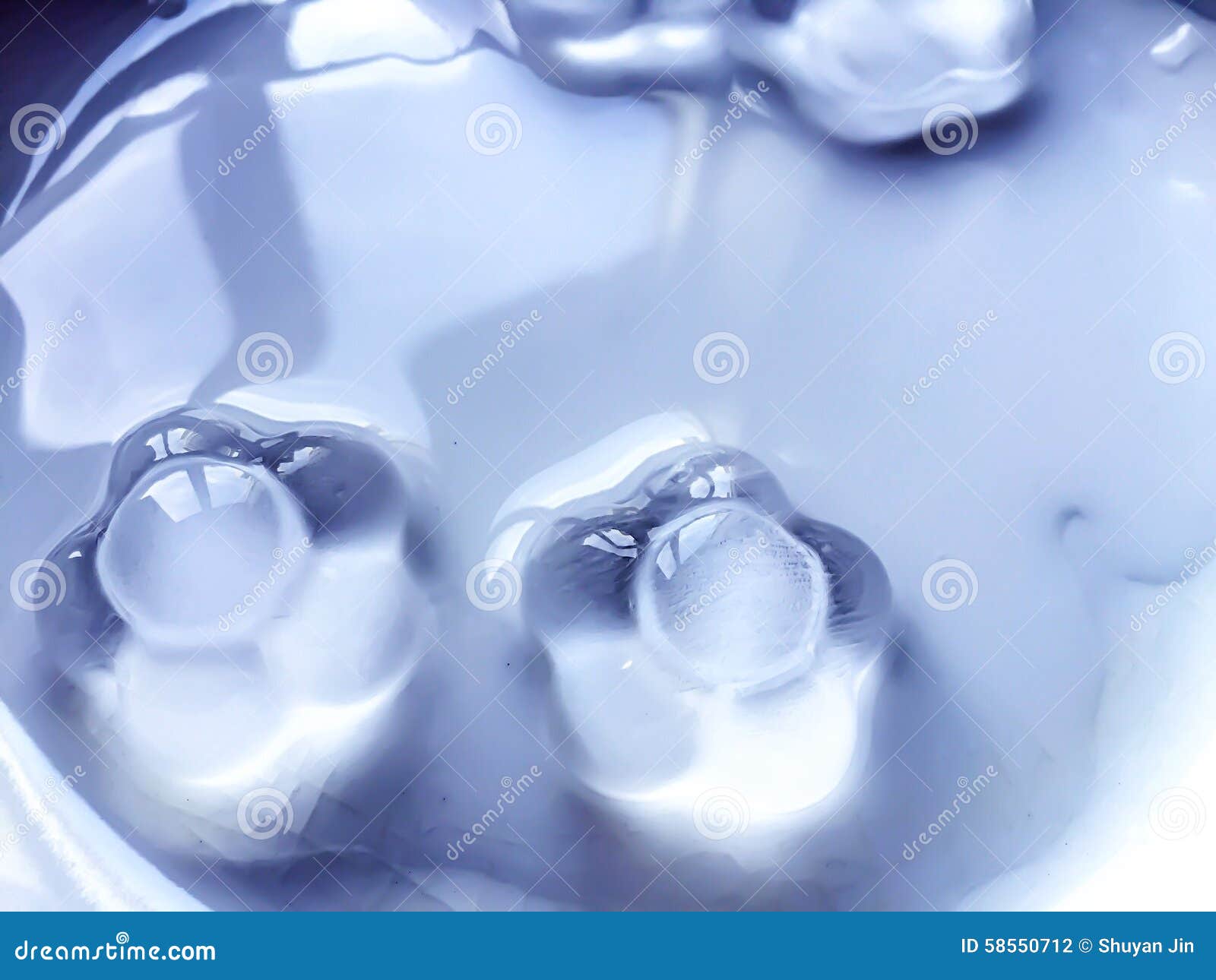 Sakura stock photo. Image of water, blue, sakura - 58550712