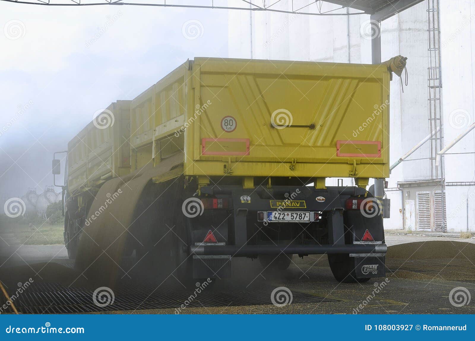 Just Harvested Corn Inside A Trailer. Grain Poured From Truck - Lorry ...