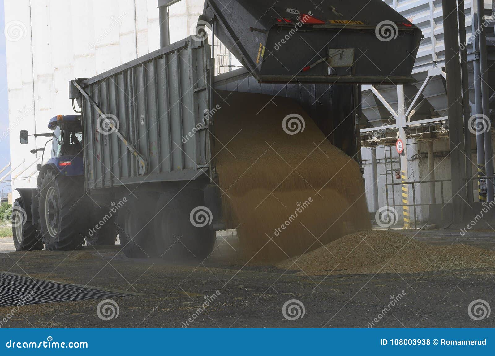 Just Harvested Corn Inside A Trailer. Grain Poured From Truck - Lorry ...