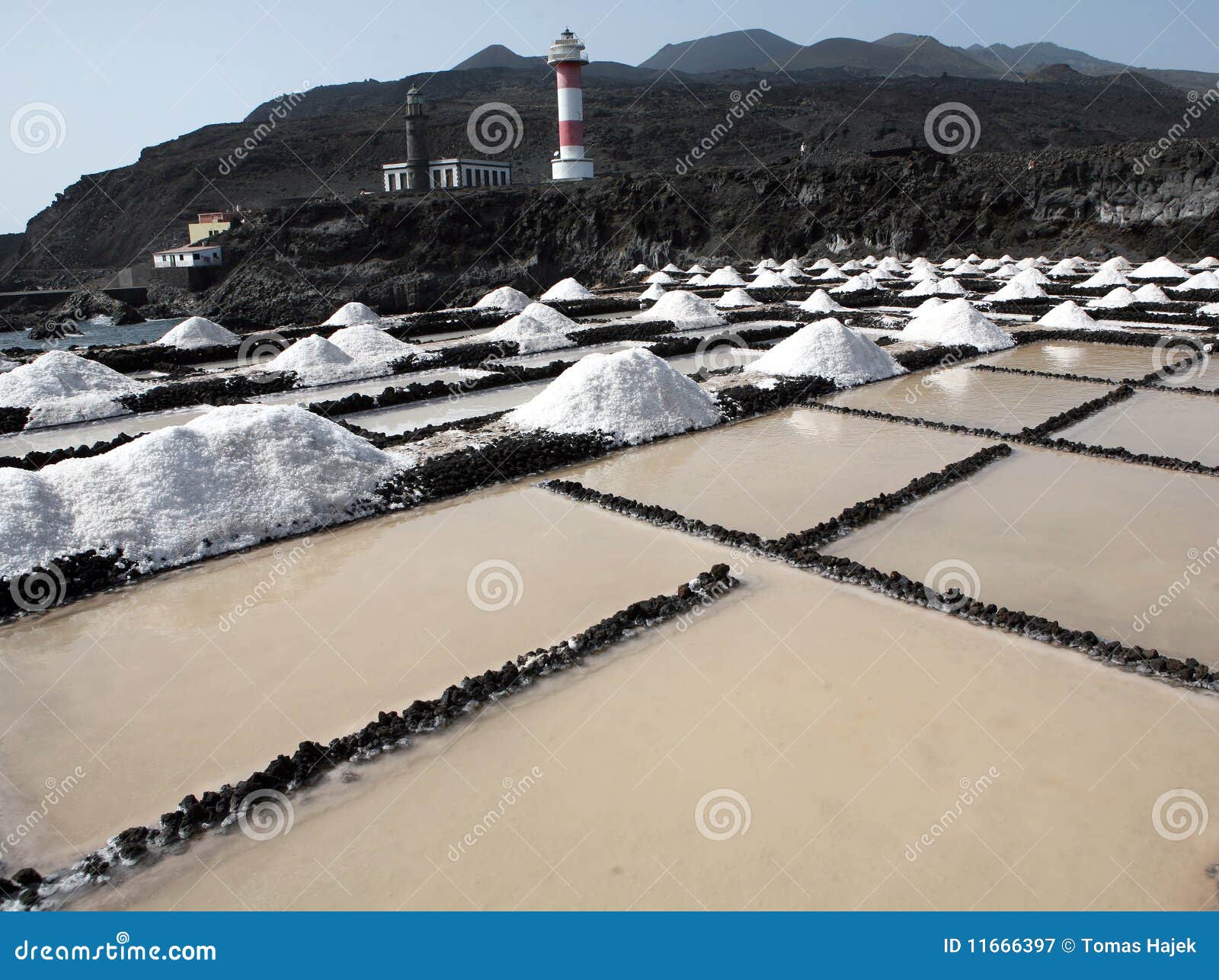 Sal do oceano imagem de stock. Imagem de salgado, recolhimento - 11666397
