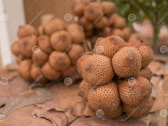 Sala fruit stock image. Image of salak, delicious, tasty - 118794015