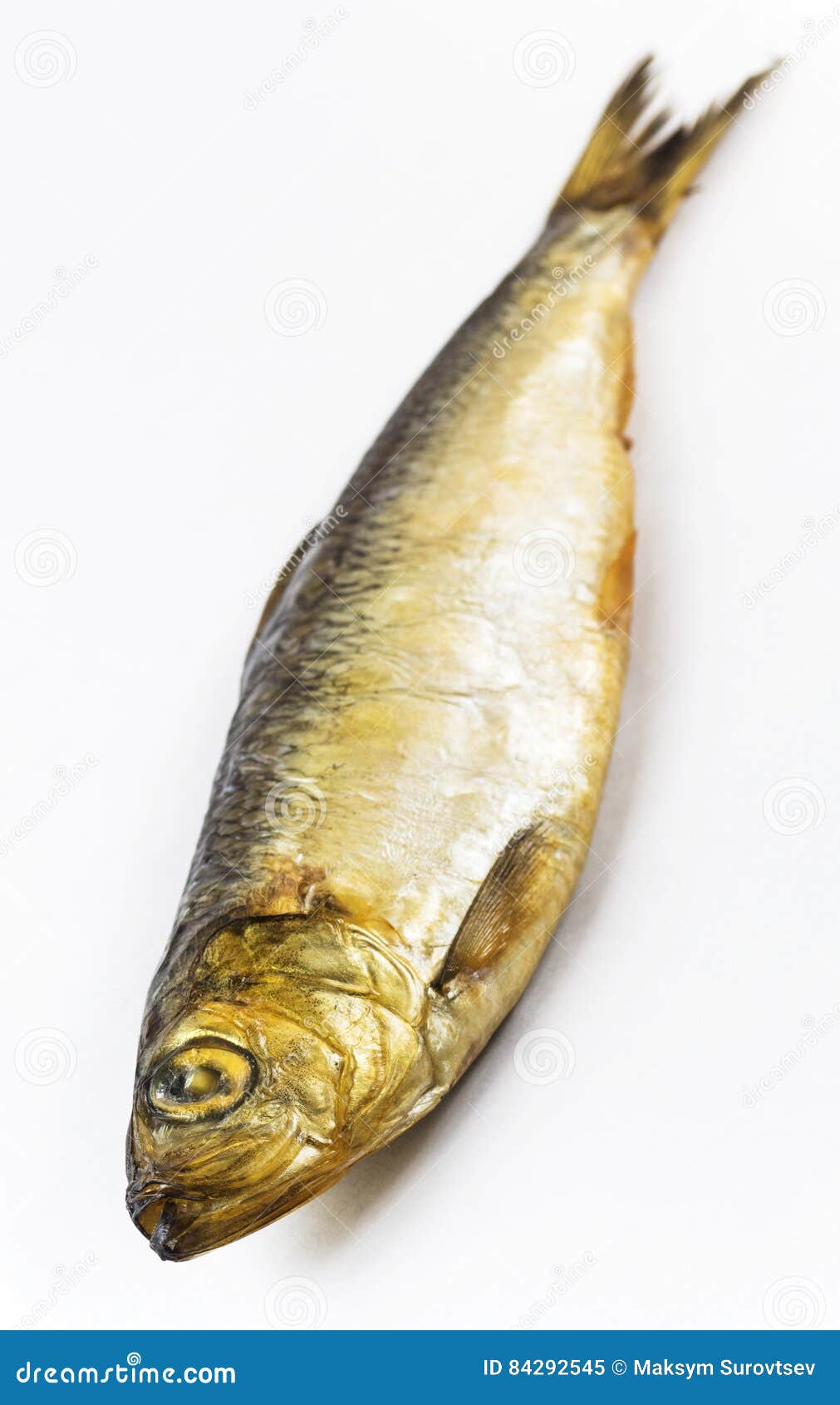 Salaca imagen de archivo. Imagen de refresco, bocado - 84292545