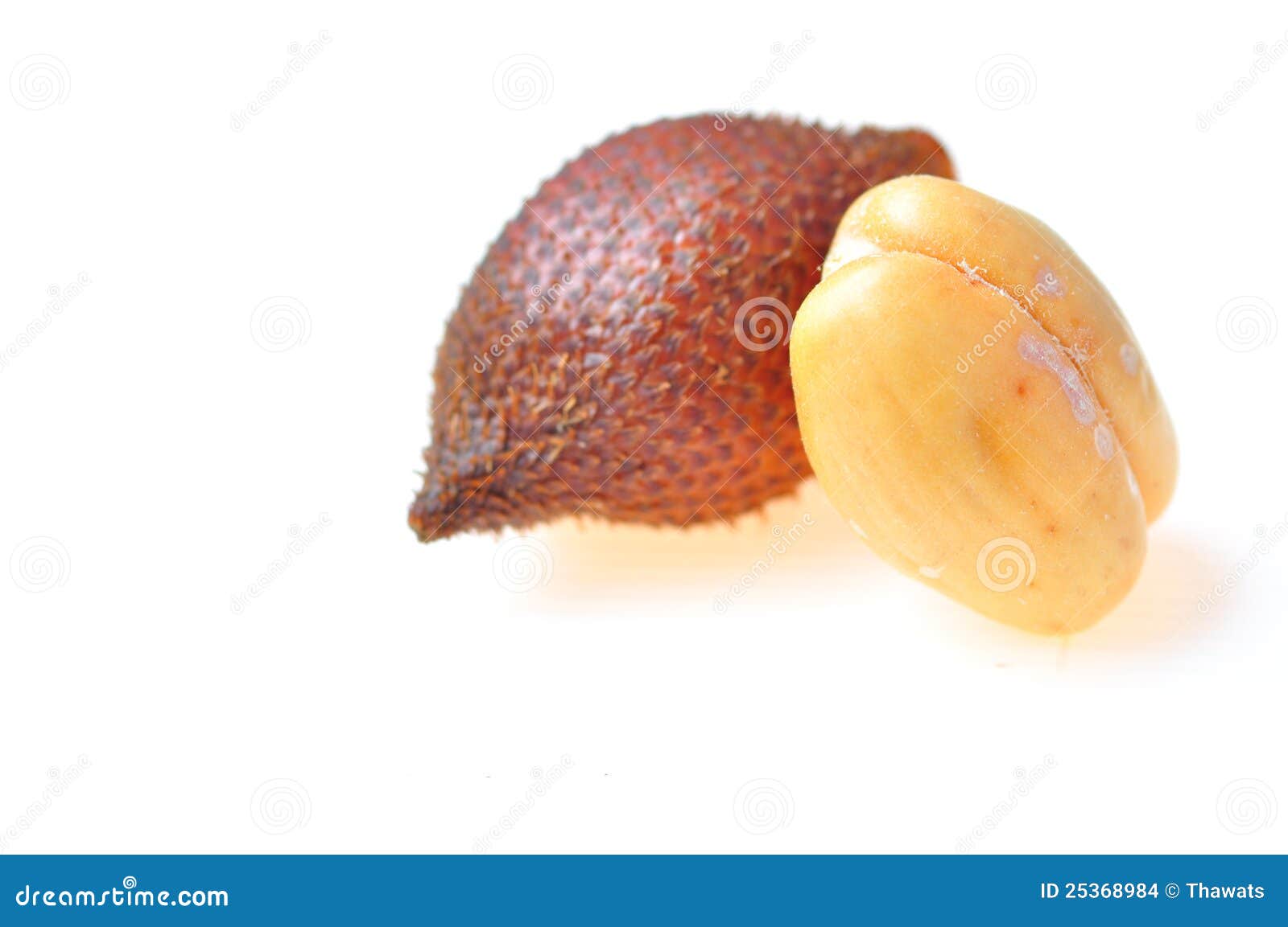 Salacca stock photo. Image of background, isolated, brown - 25368984
