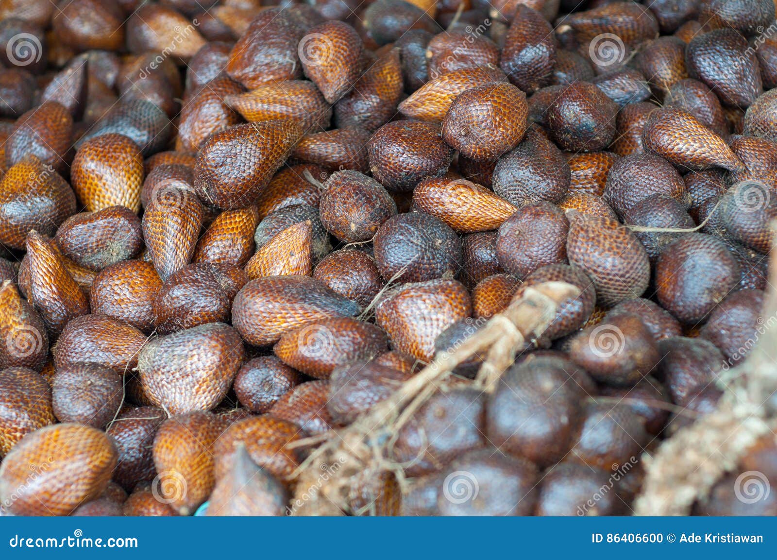 Salacca o zalacca foto de archivo. Imagen de detalle - 86406600