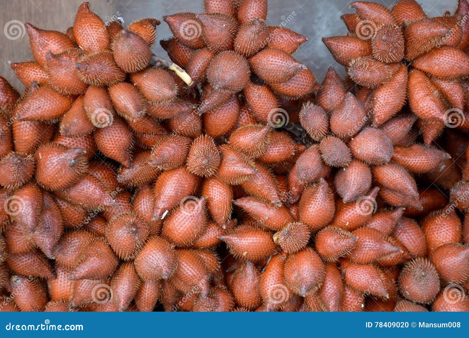 Salacca zalacca fruit stock photo. Image of nature, sweet - 78409020