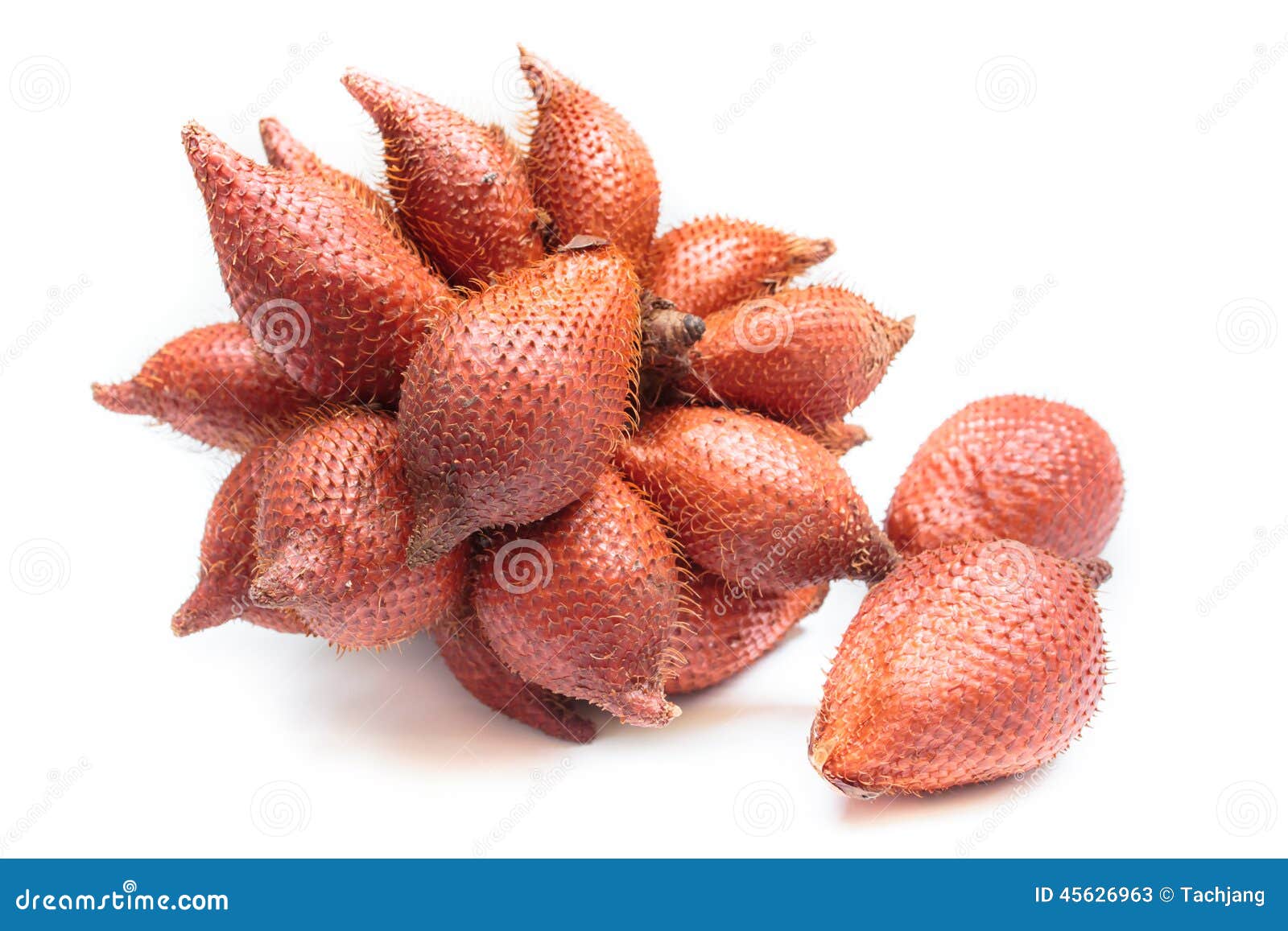 Salacca, Zalacca Fruit of Thailand. Stock Image - Image of organic ...