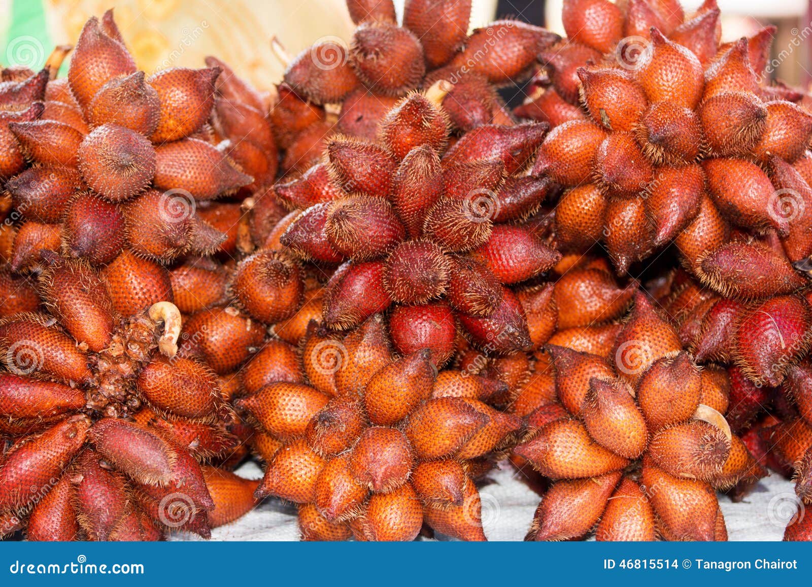 Salacca or zalacca stock photo. Image of healthy, food - 46815514