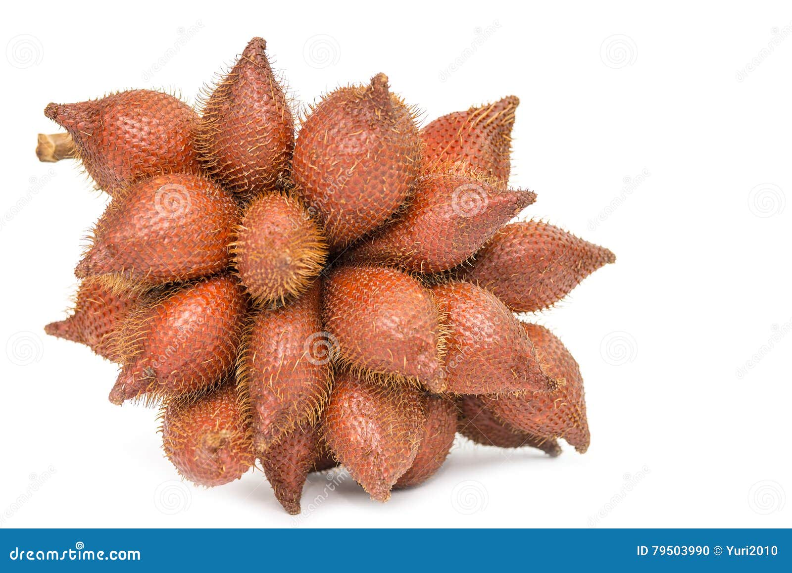 Salacca or Zalacca Tropical Fruit Isolated on White Background Stock ...