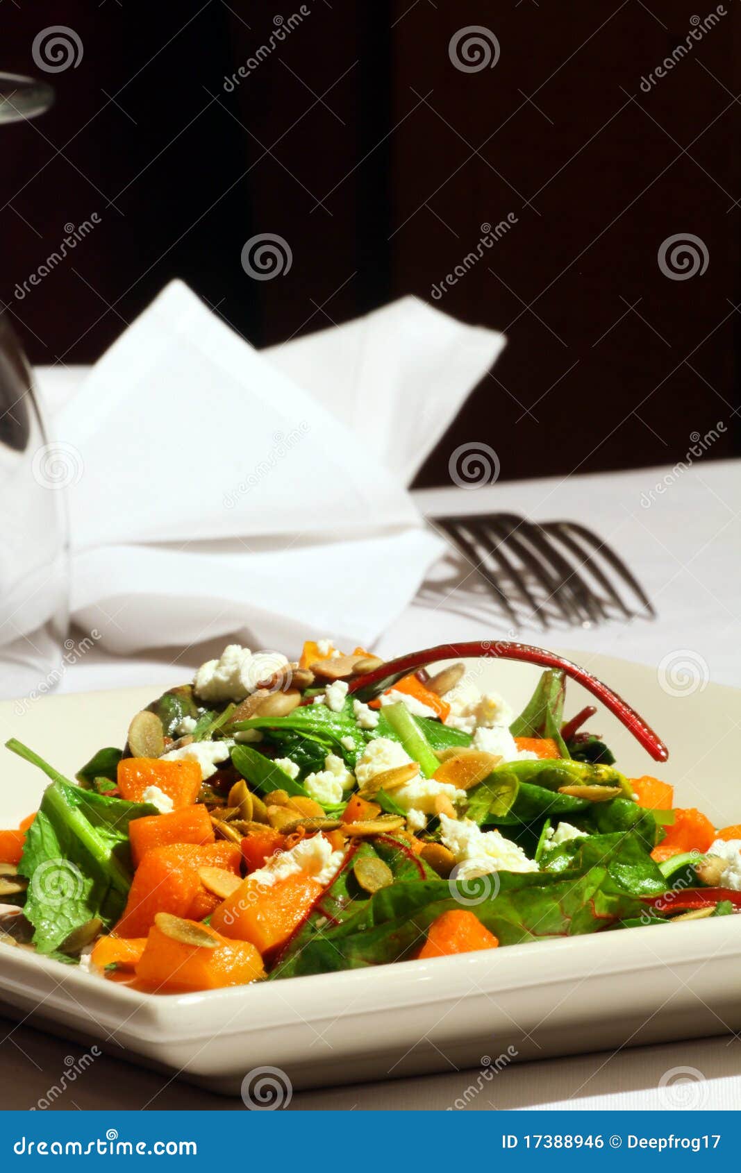 Salad stock photo. Image of feast, squash, provision - 17388946