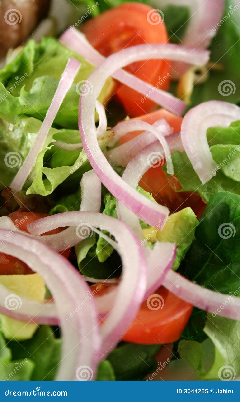 Salad Background 5 stock image. Image of fresh, delectable - 3044255