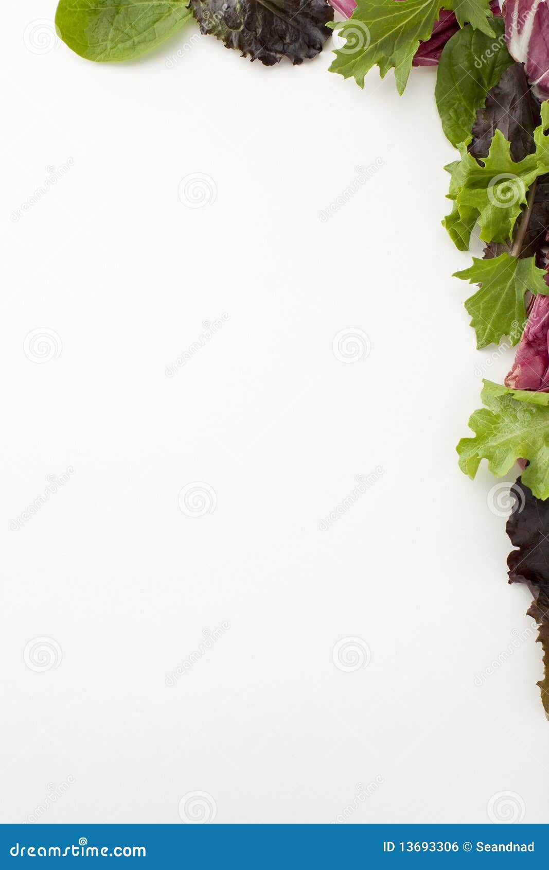 Salad border stock photo. Image of vegetable, life, product - 13693306
