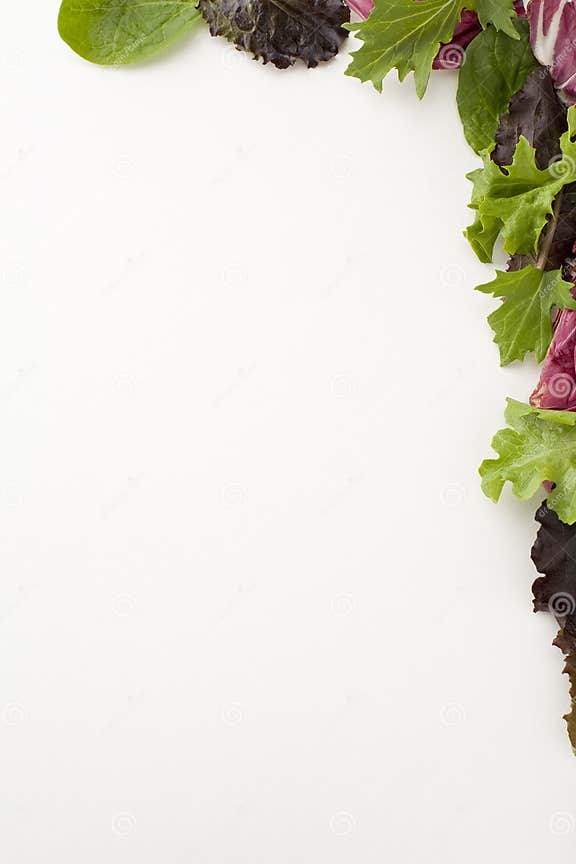Salad border stock photo. Image of vegetable, life, product - 13693306