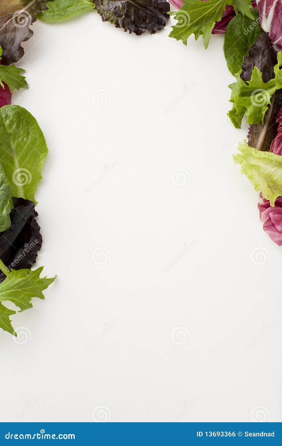 Vegetable Border Salad