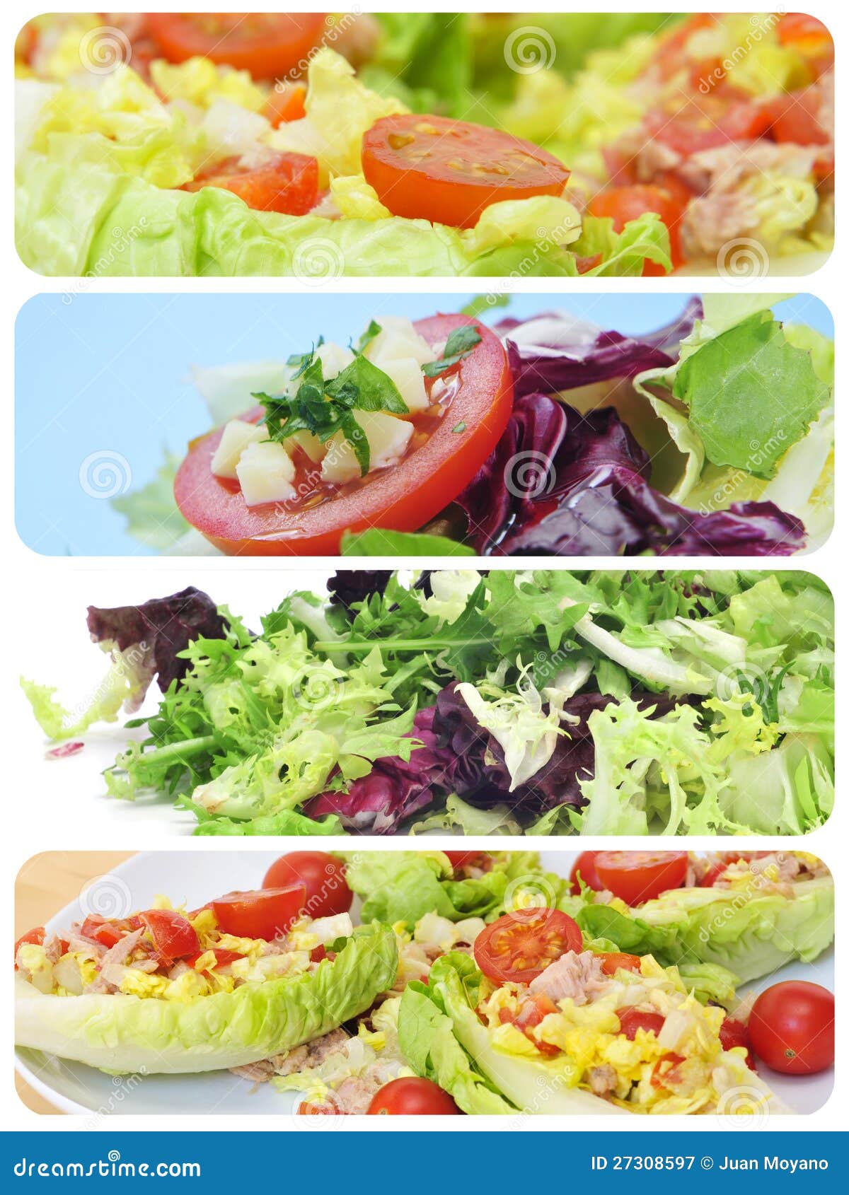 Salad collage stock image. Image of mesclun, endive, freshness - 27308597